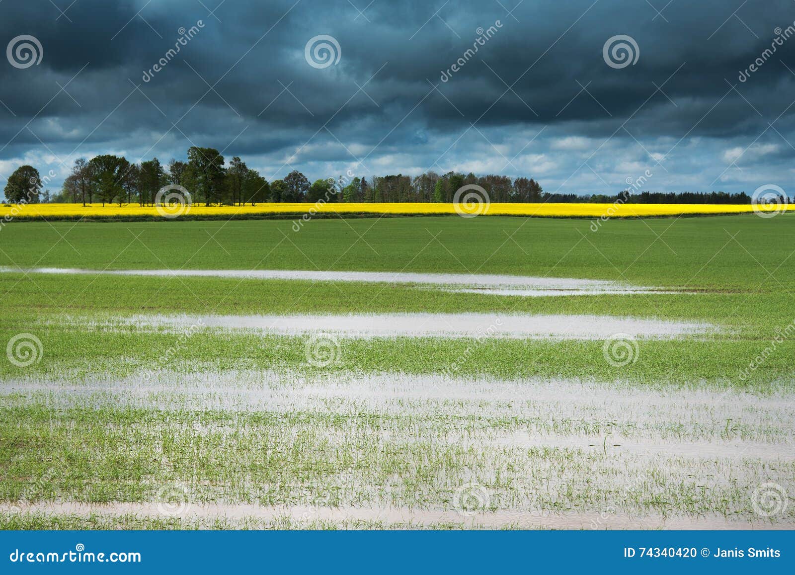 Field after rain ... stock photo. Image of flood, nature - 74340420