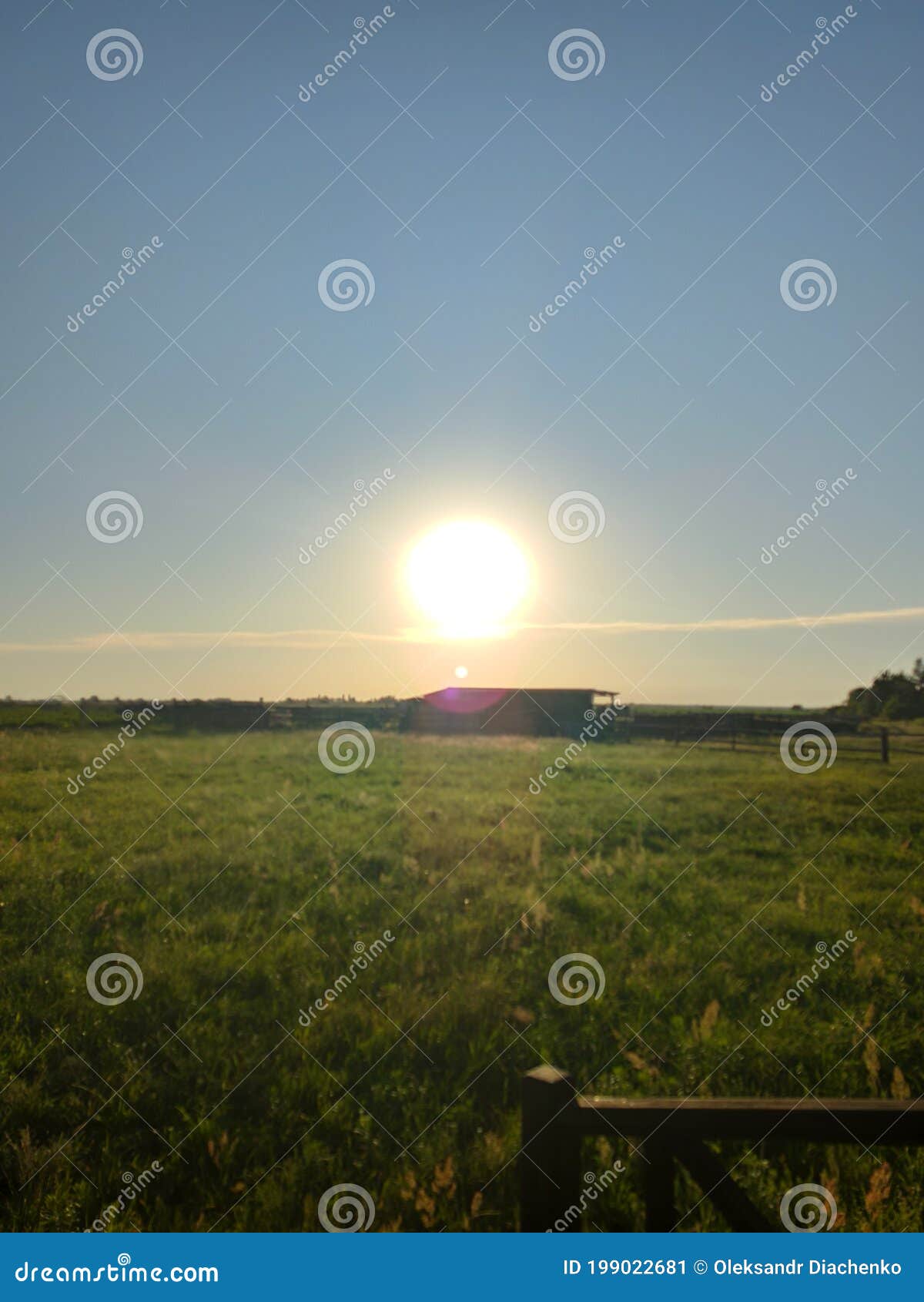Field on Ranch at Sunset with Green Grass Stock Image - Image of ...