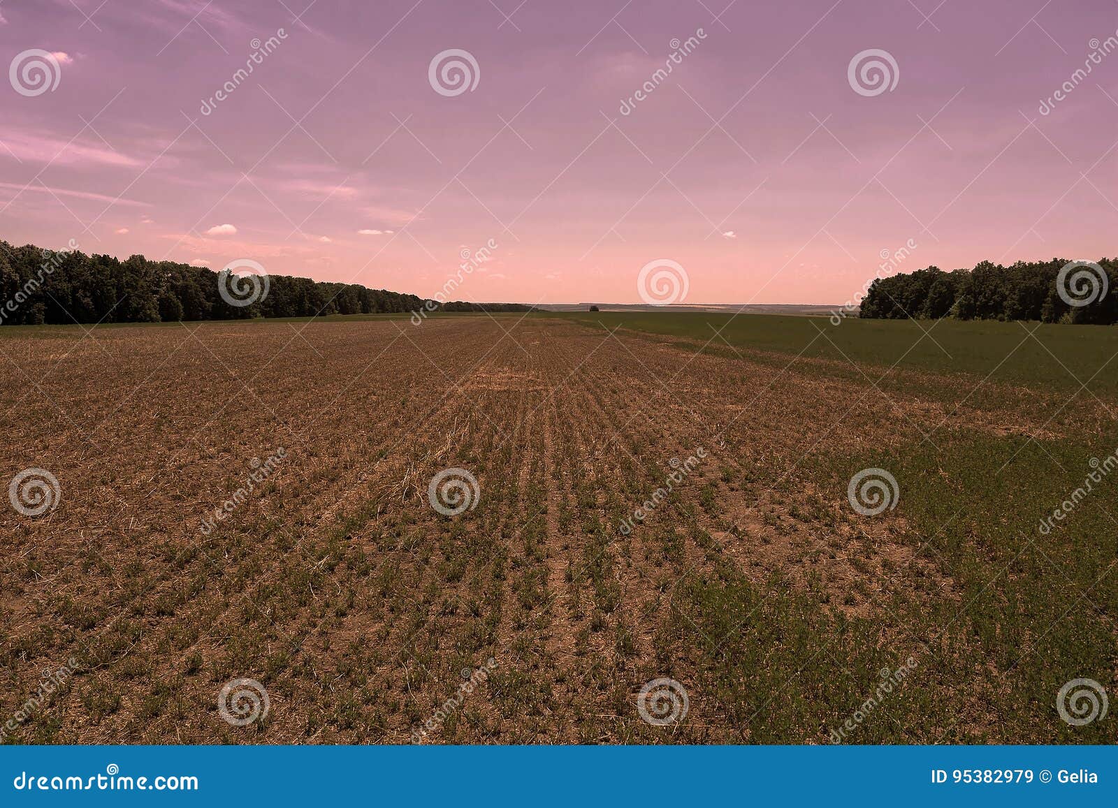 Fallow Land Royalty-Free Stock Image | CartoonDealer.com #44611966