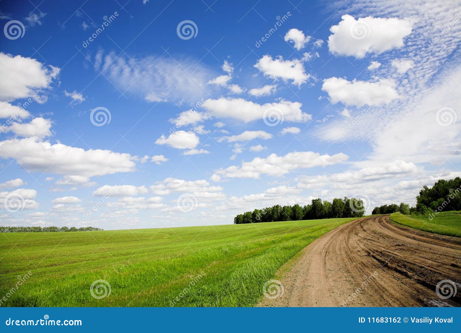 Field road stock photo. Image of beauty, plant, blue - 11683162