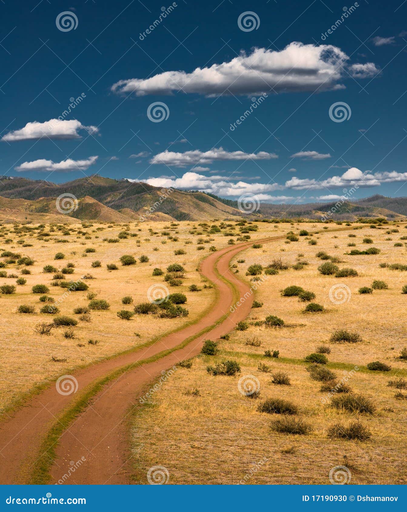 Field road stock photo. Image of green, high, idyllic - 17190930