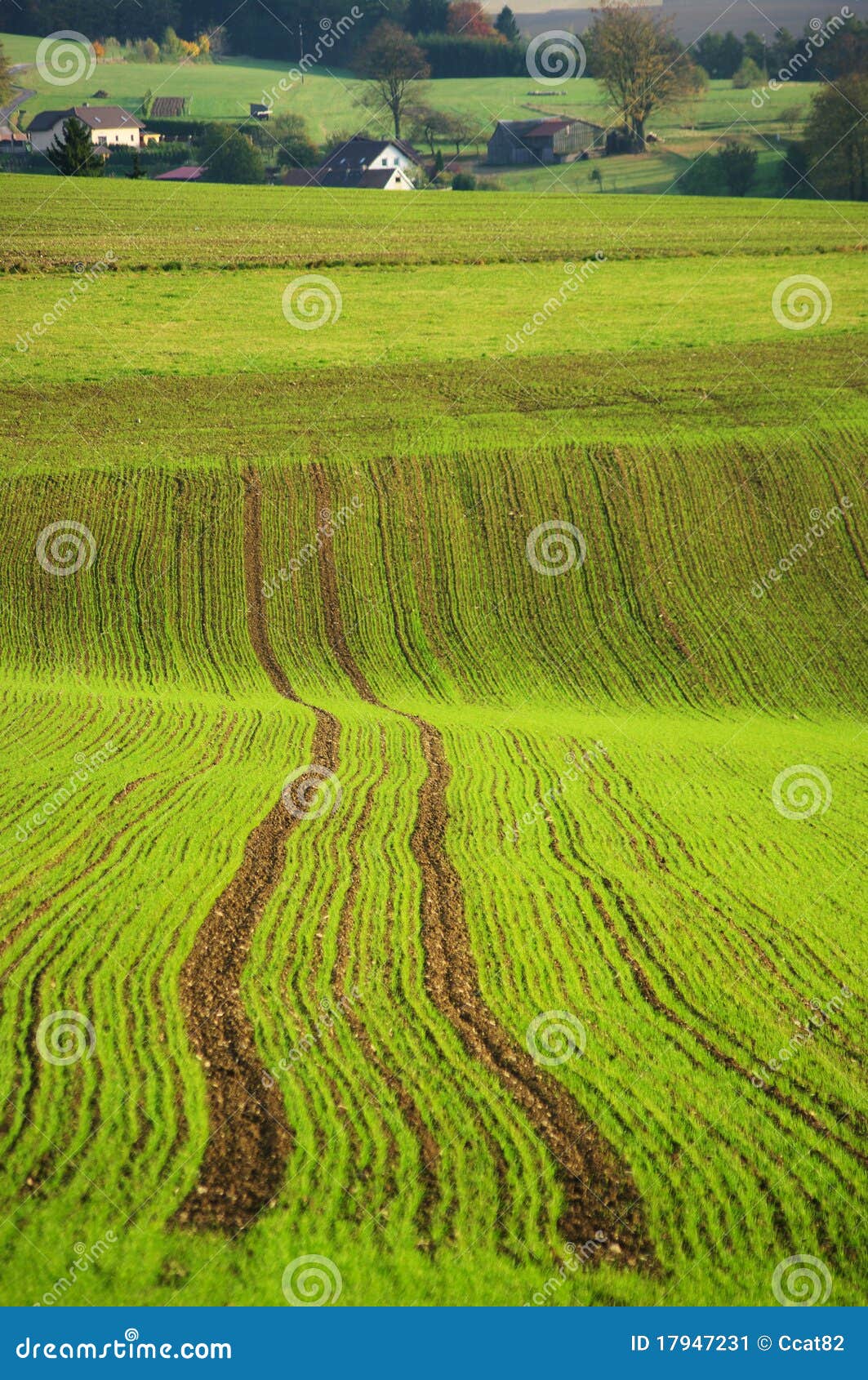Field with road stock image. Image of meadow, cloud, panoramic - 17947231