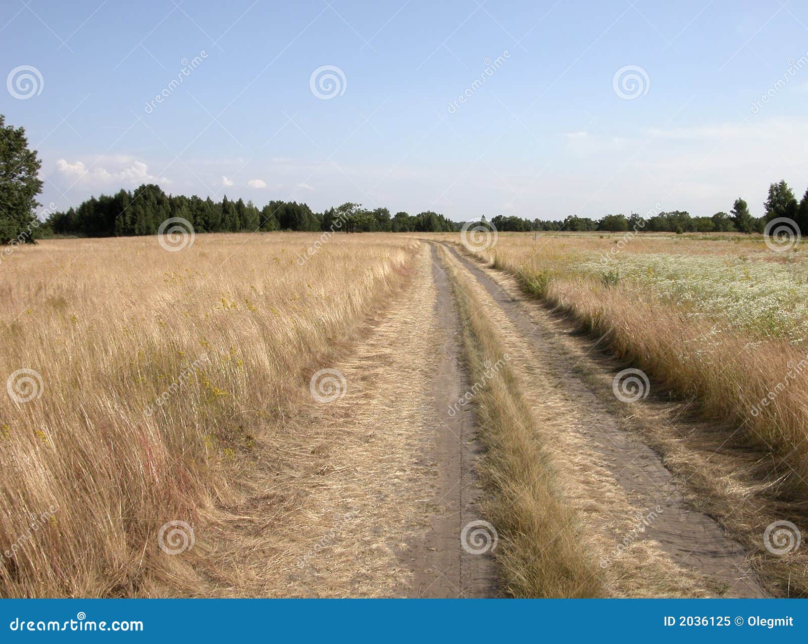 Field road stock image. Image of journey, flowers, backgrounds - 2036125