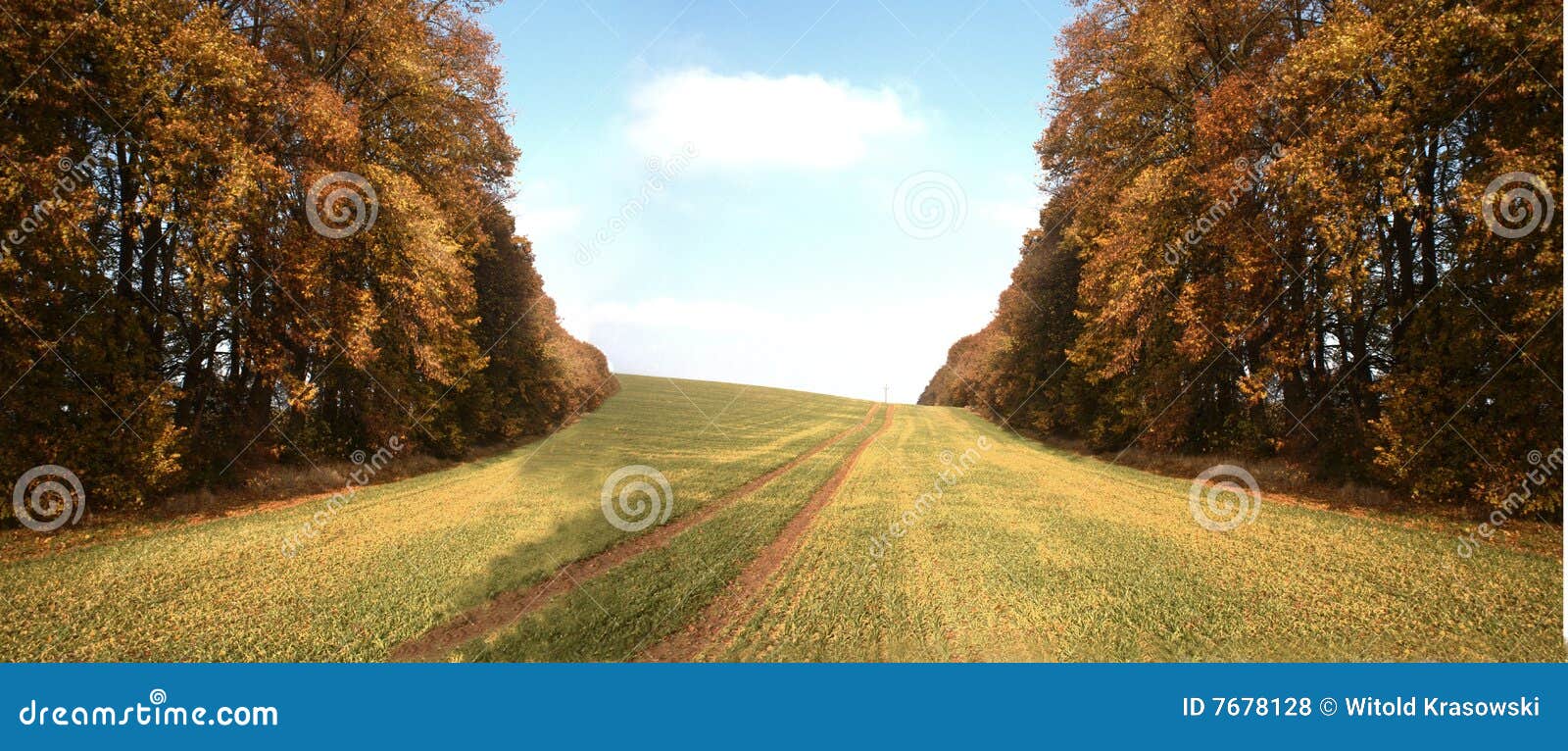 Field - road stock photo. Image of distance, colorfull - 7678128