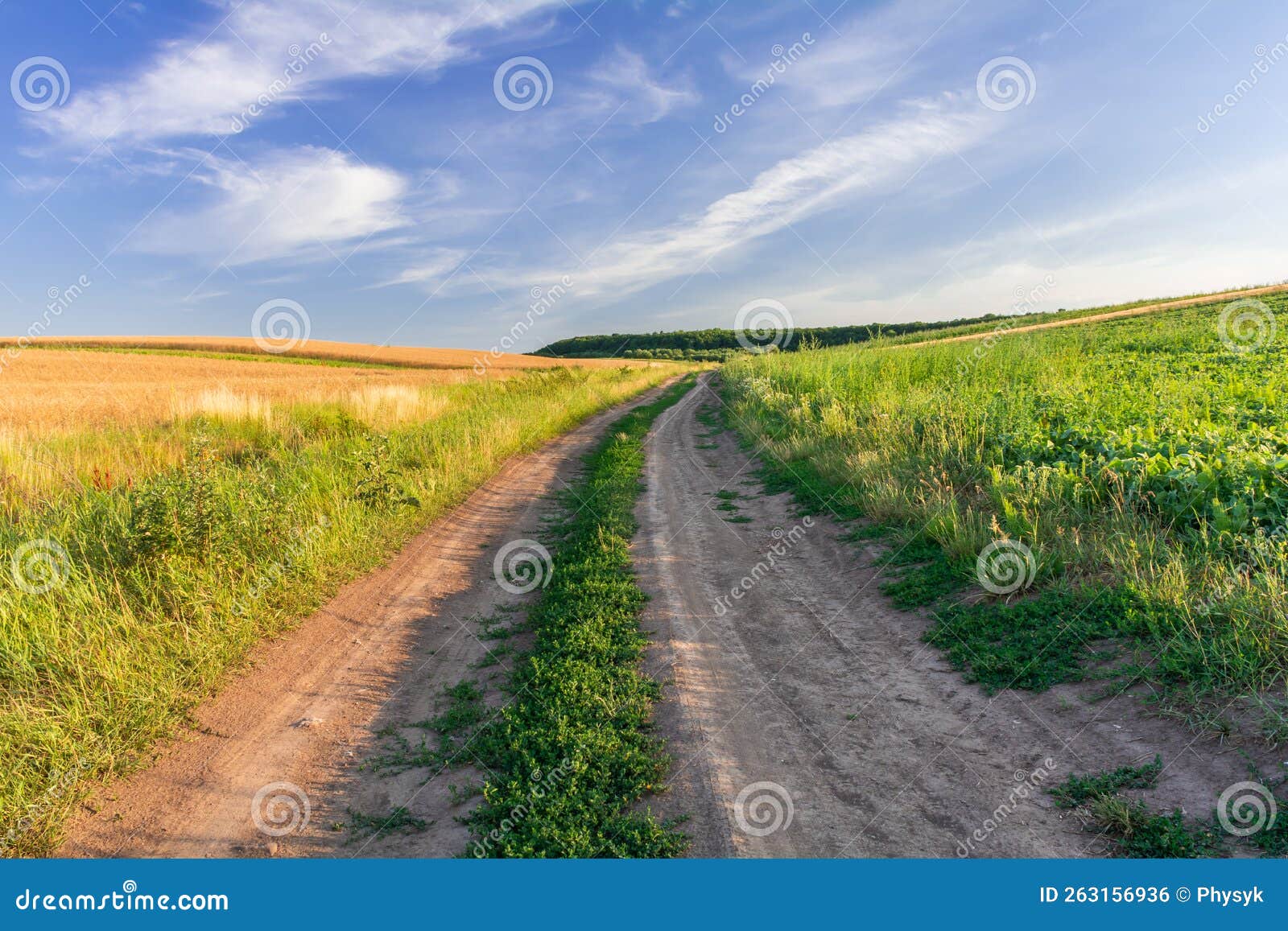 A Field Road between the Slopes of the Fields of Agricultural Crops ...