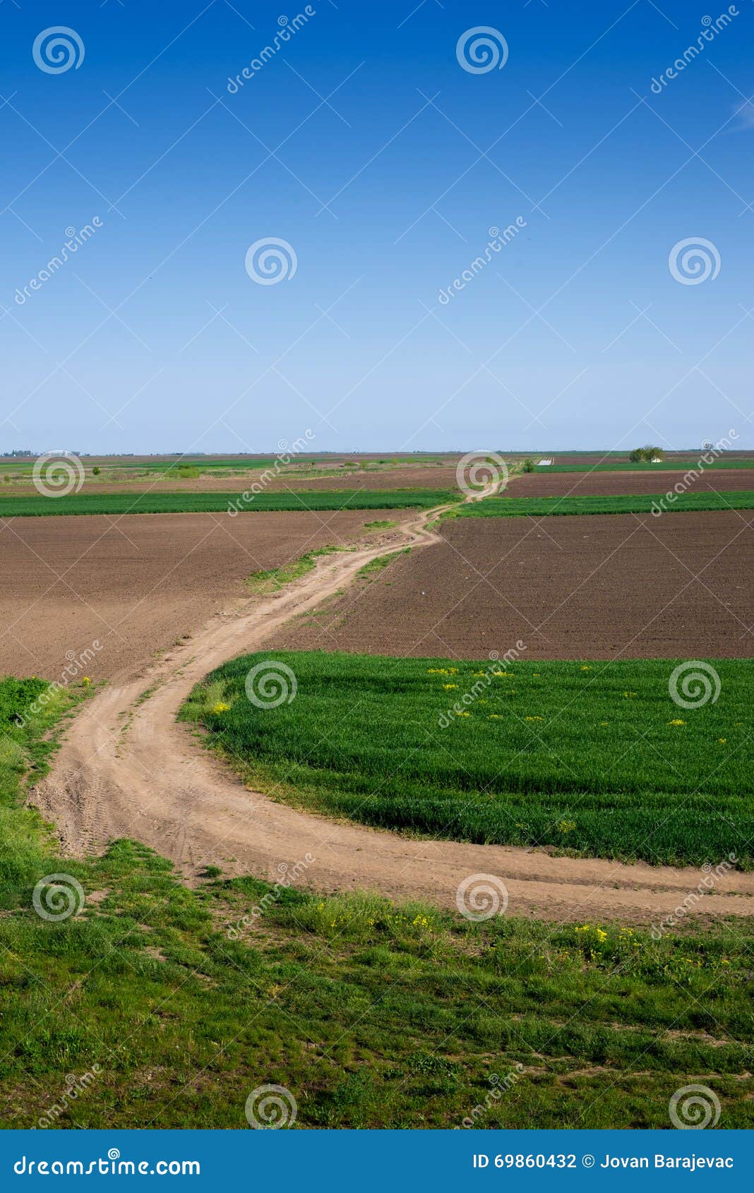 Field road stock photo. Image of field, lanscape, nature - 69860432