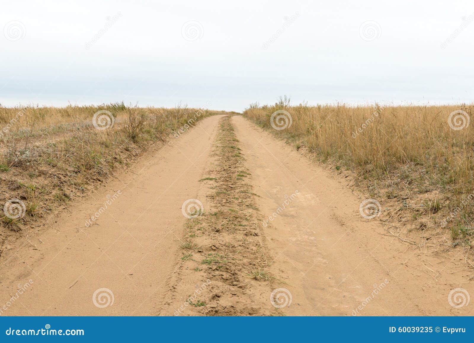 Field road stock image. Image of forward, meadow, green - 60039235