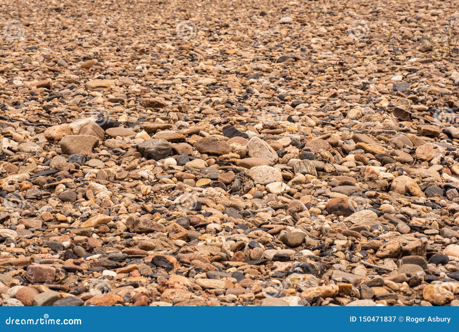 Field of rocks stock image. Image of texture, rounded - 150471837