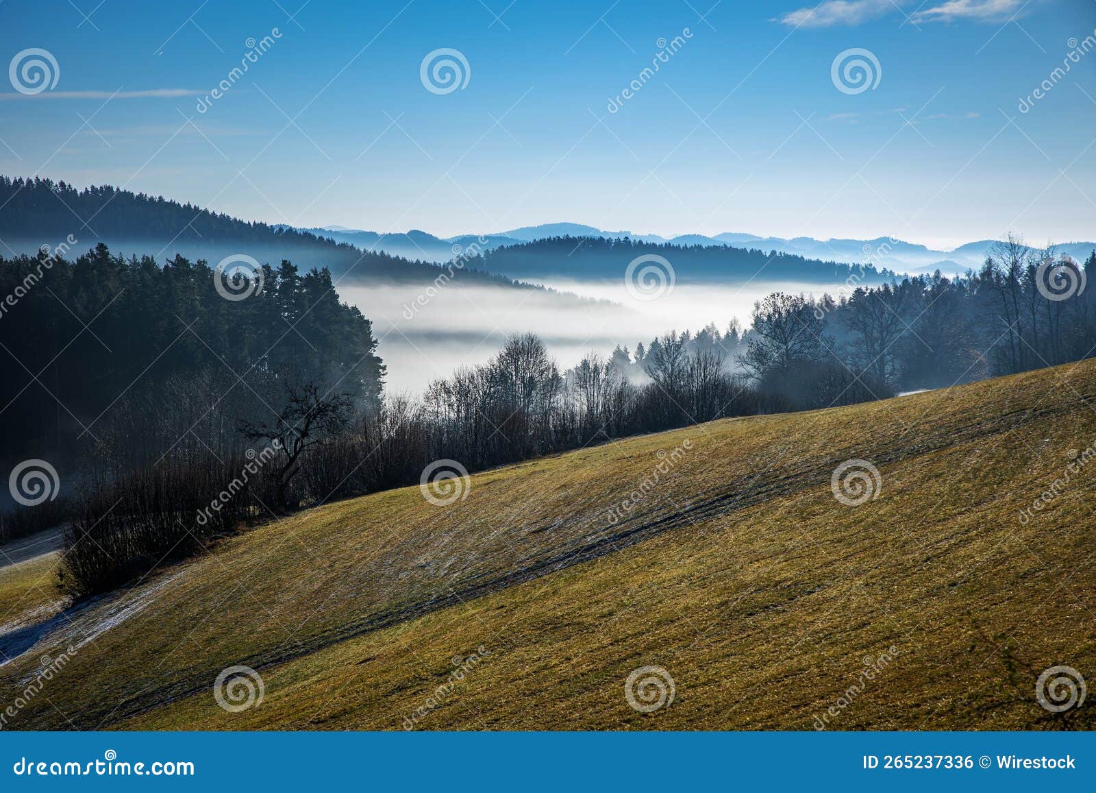 Field with Rocky Mountains in a Fog in the Background Stock Photo ...