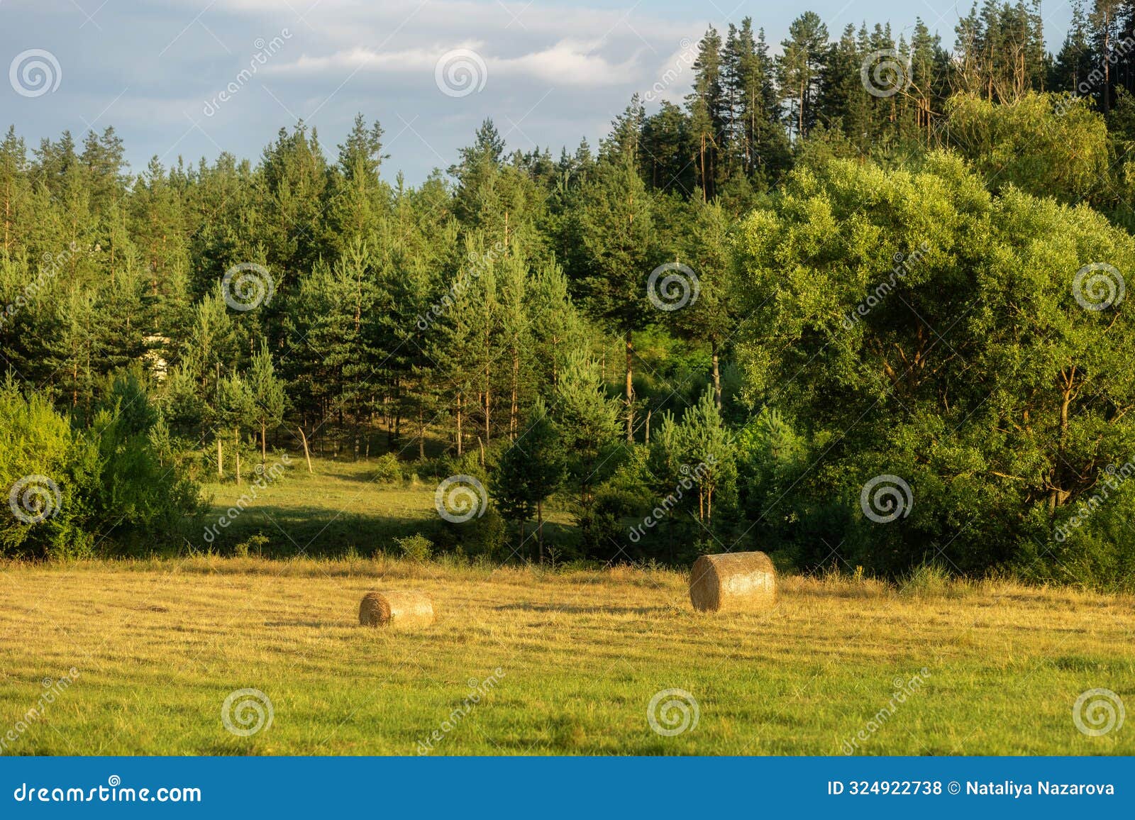 Field with Rolls of Hay, Rural Landscape Stock Photo - Image of bale ...