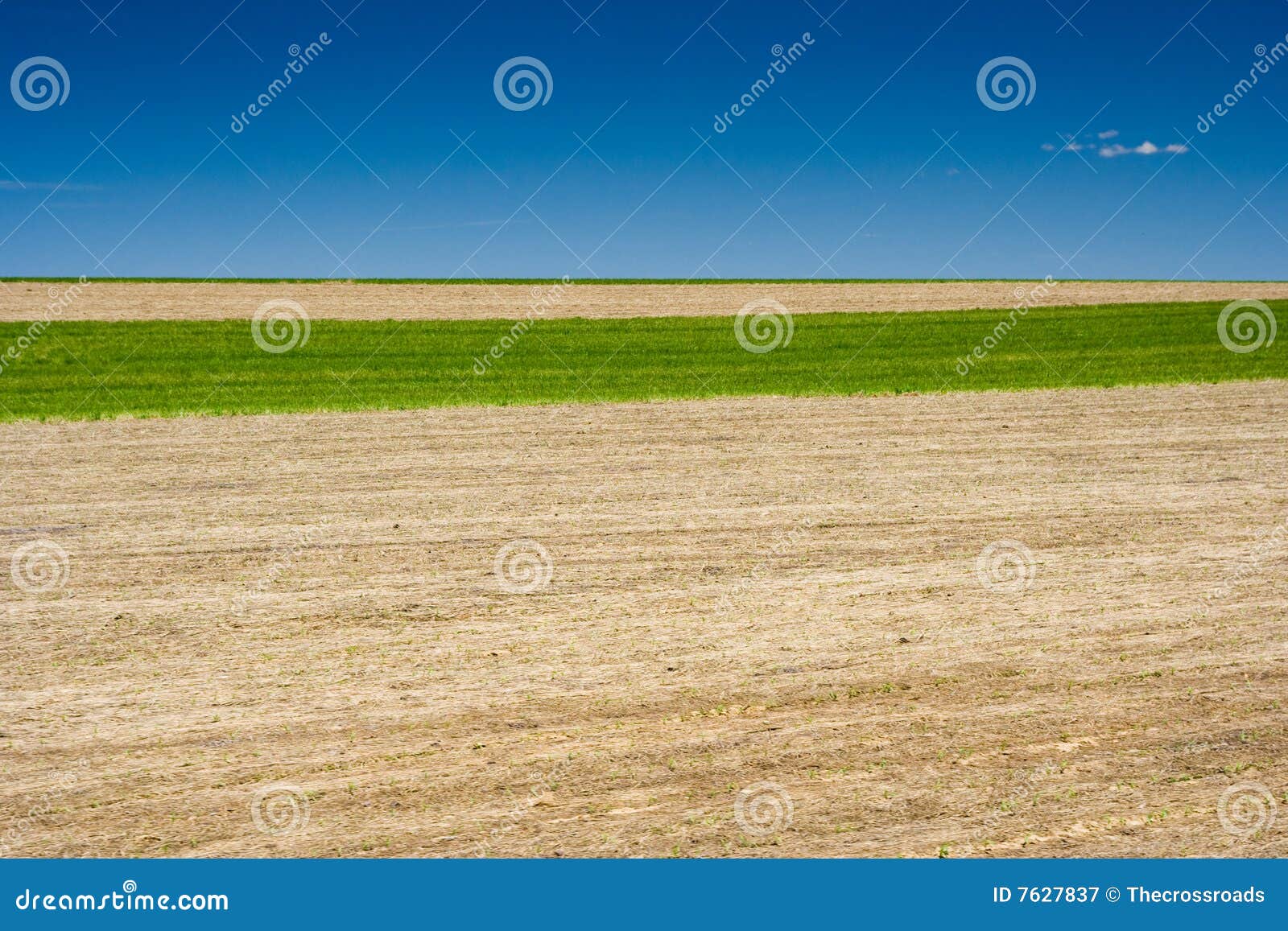 Field in Rural Pennsylvania Stock Image - Image of agricultural ...