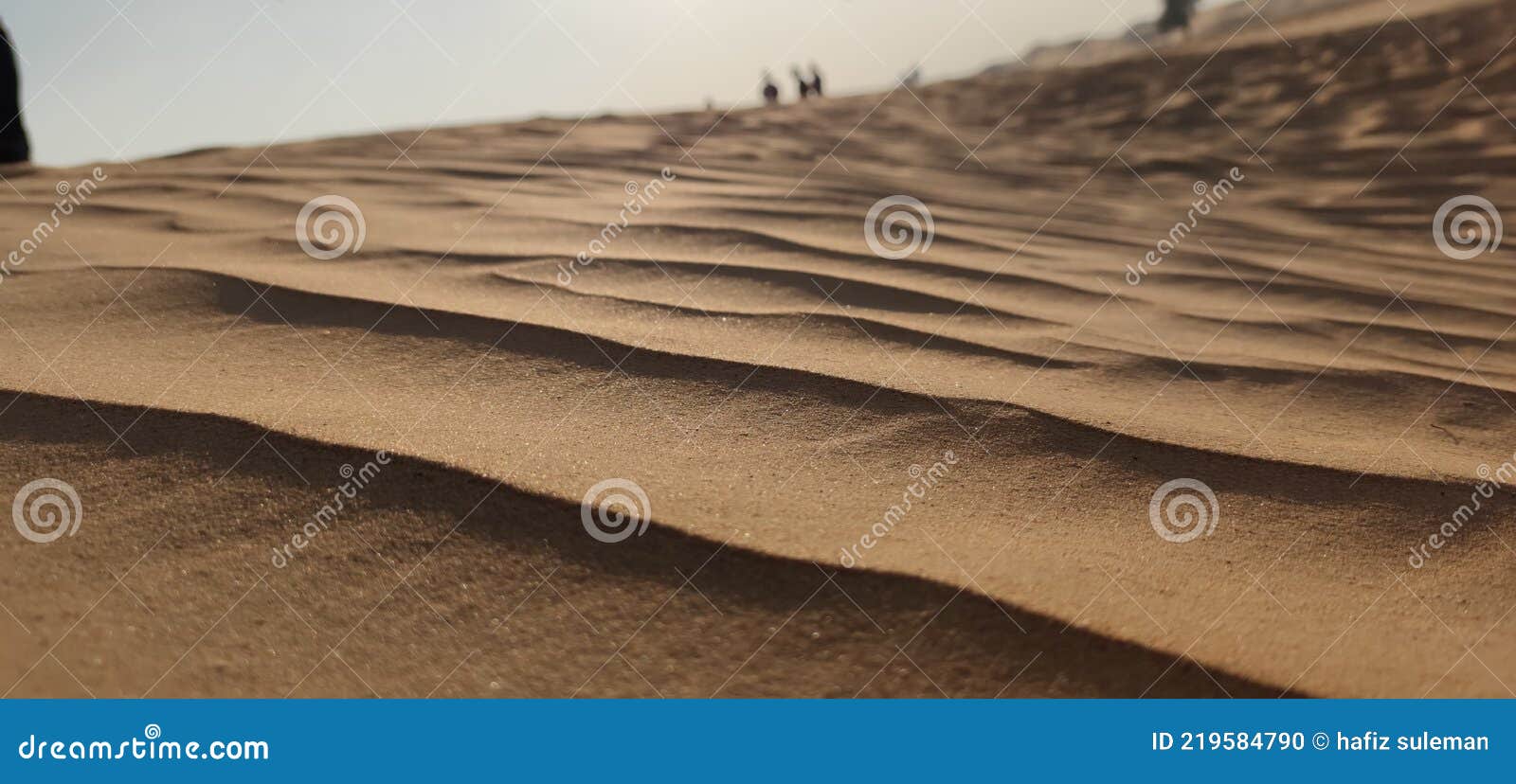 Field of sand stock photo. Image of focus, field, partical - 219584790