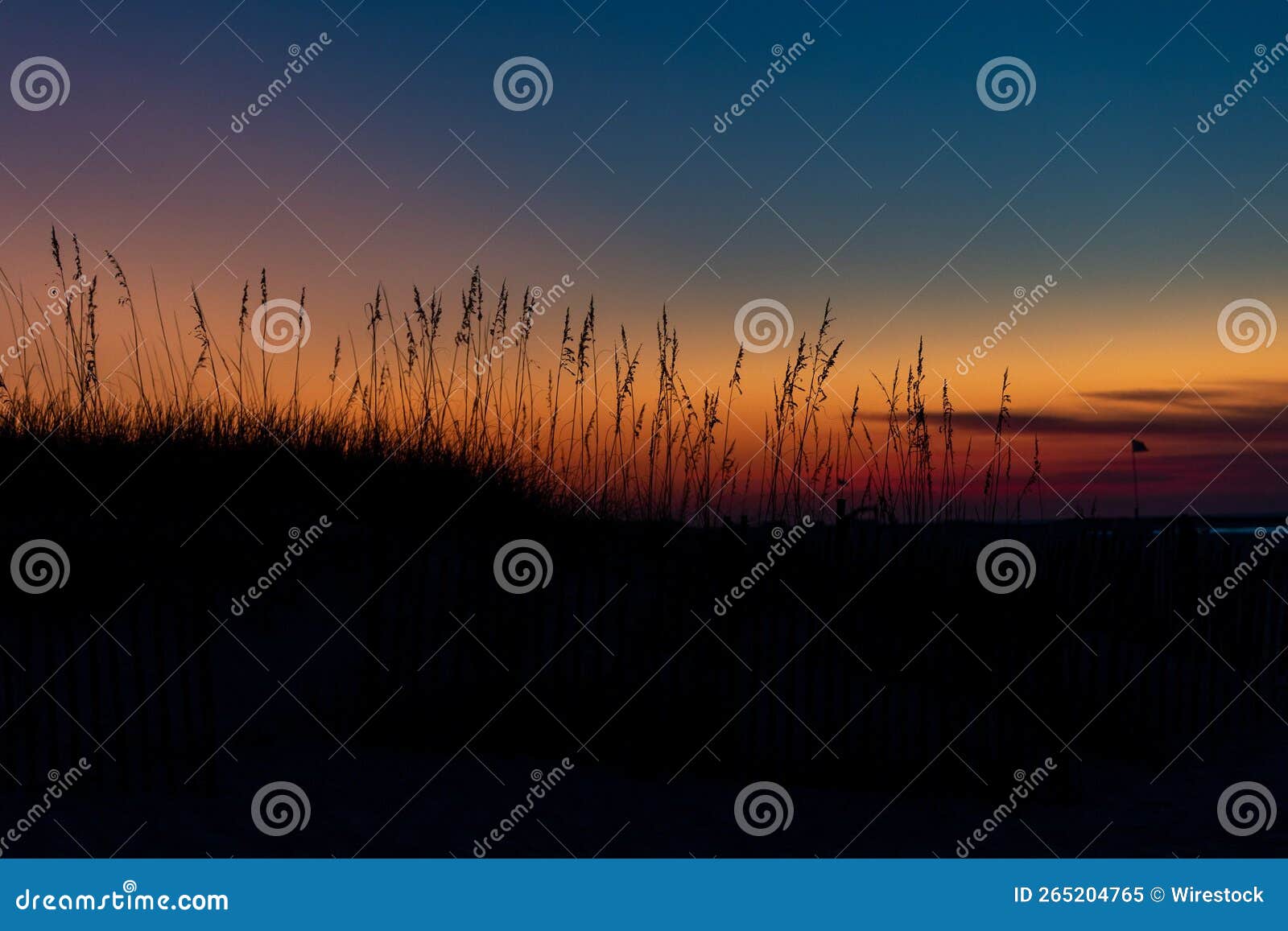 Field in a Shadow during Bright Sunset Stock Image - Image of dawn ...