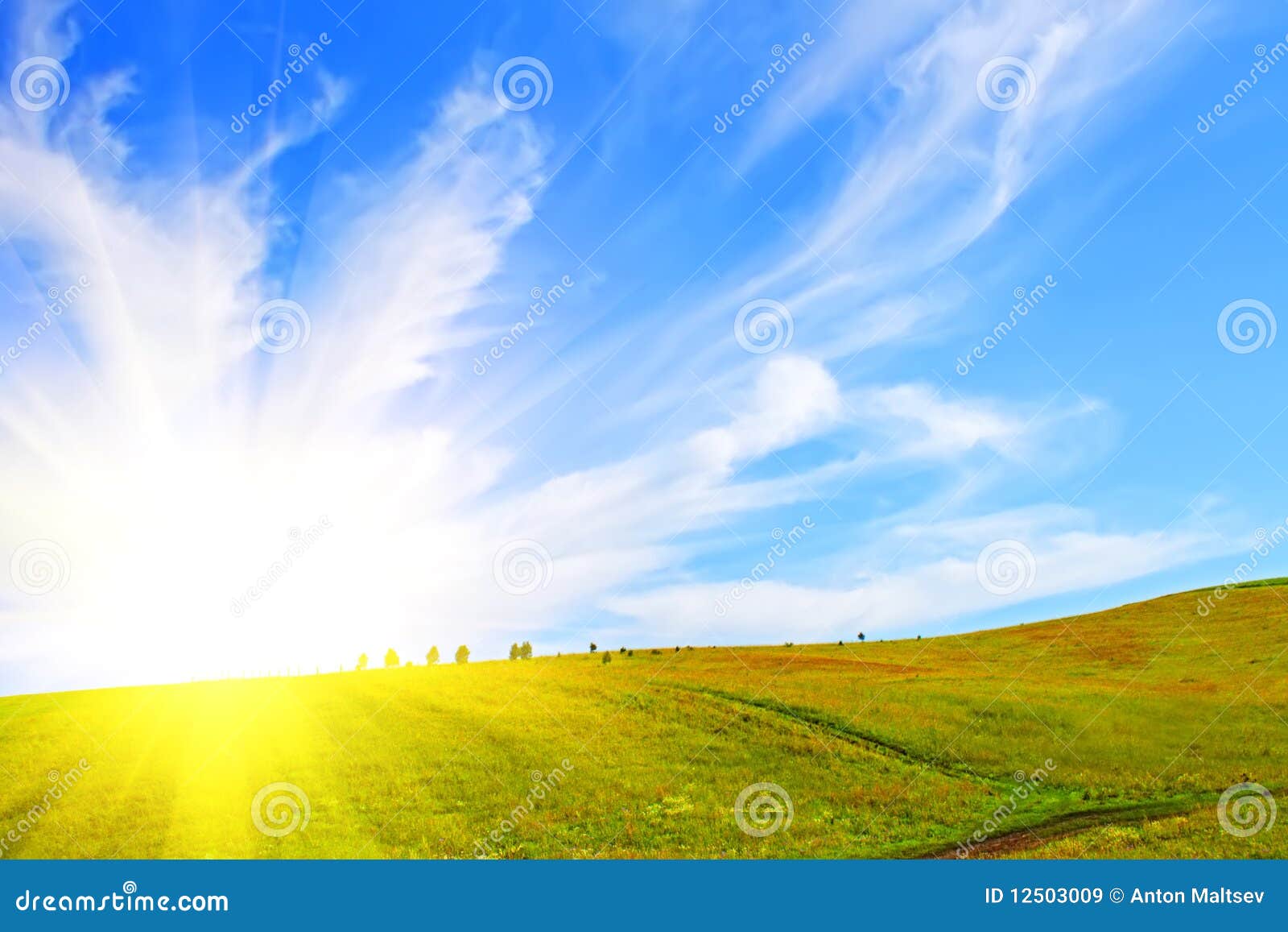 Field and sky stock image. Image of agricultural, heaven - 12503009