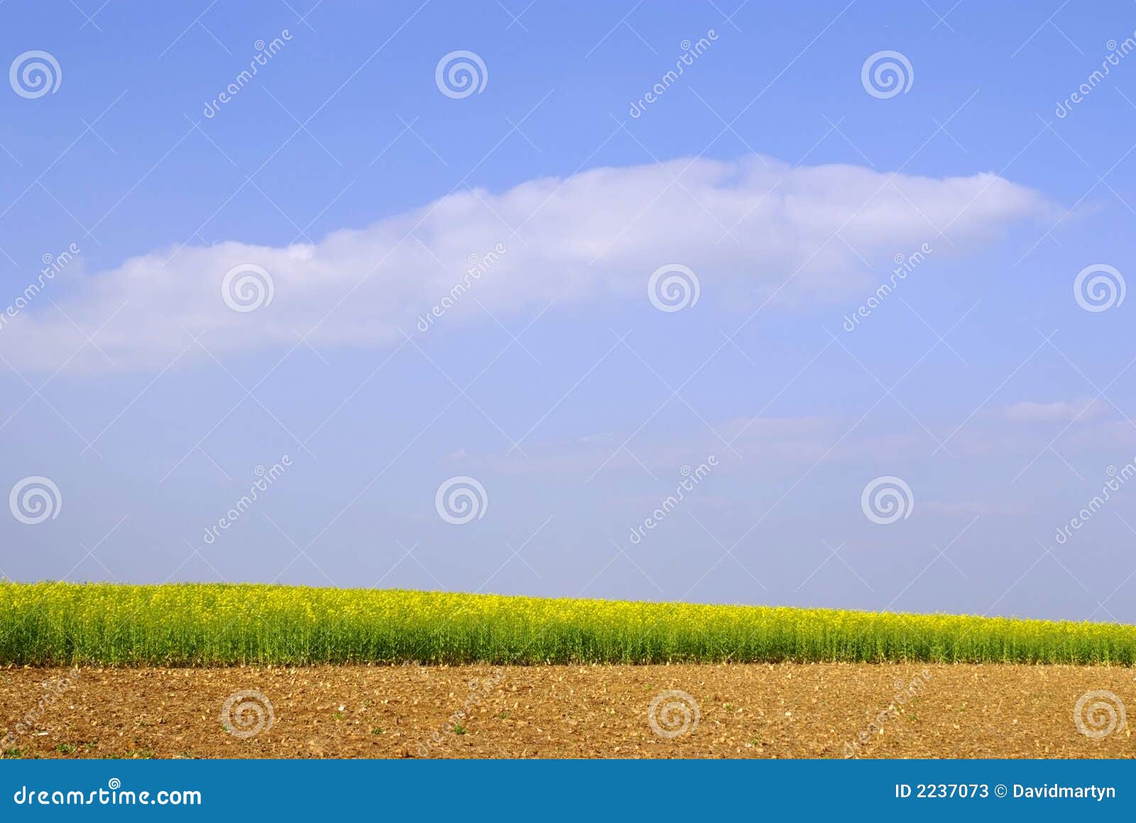 Field sky stock image. Image of farm, country, earth, field - 2237073
