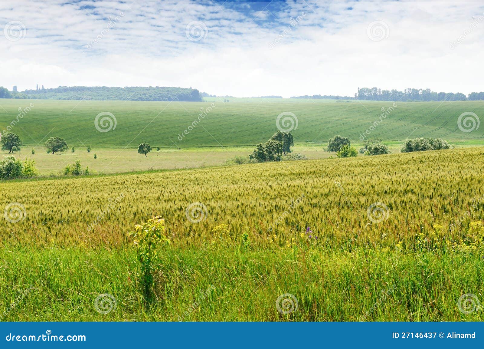 Field and sky stock image. Image of beam, scene, fields - 27146437