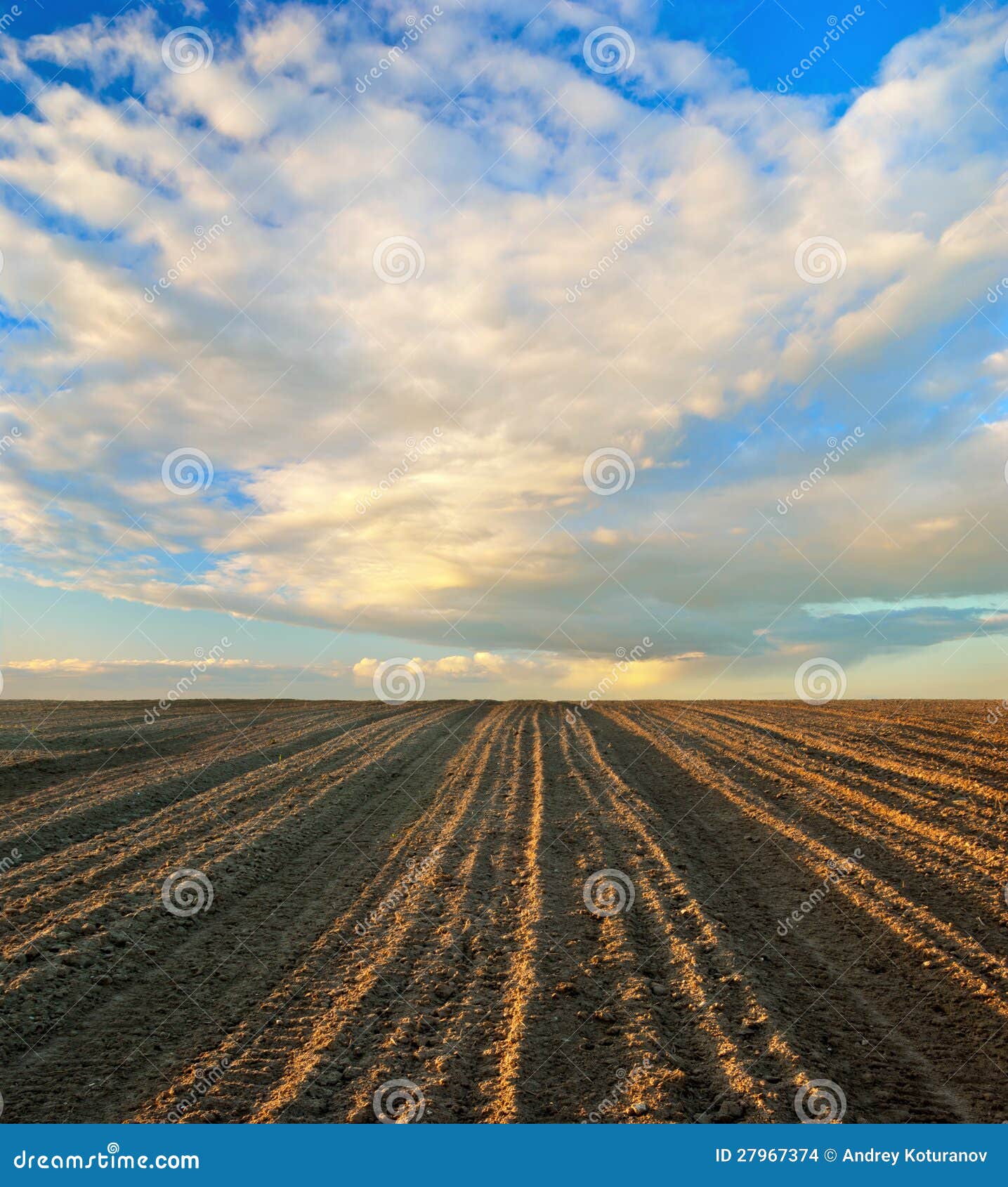Field and sky stock photo. Image of dawn, blue, croft - 27967374