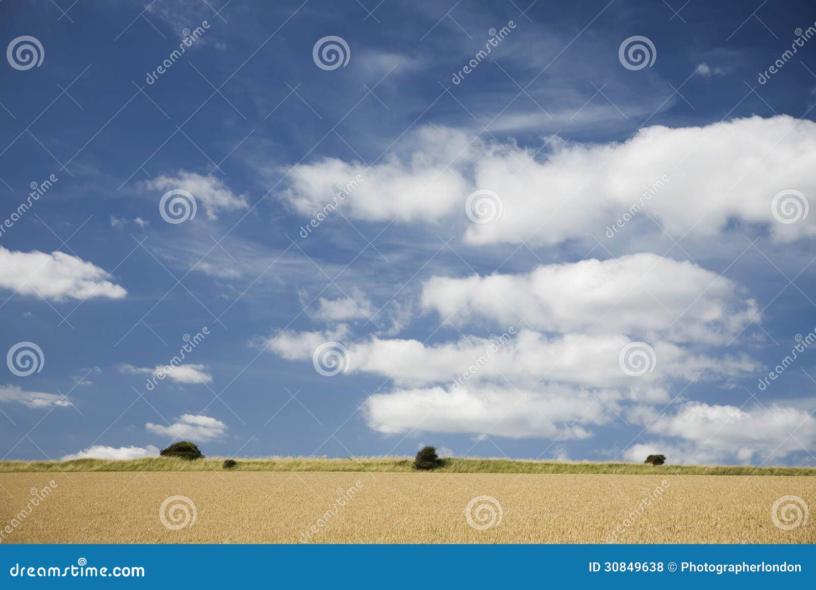 Field and sky with clouds stock photo. Image of clouds - 30849638