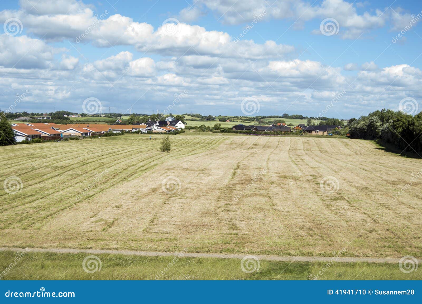Field stock photo. Image of commercial, field, denmark - 41941710