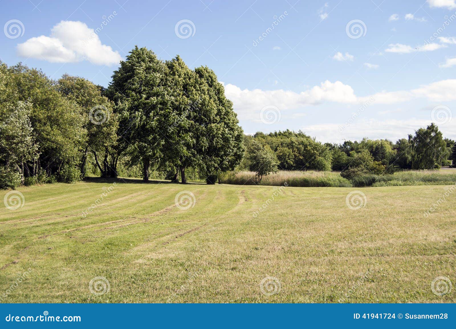 Field stock photo. Image of hill, plantation, biome, slagelse - 41941724