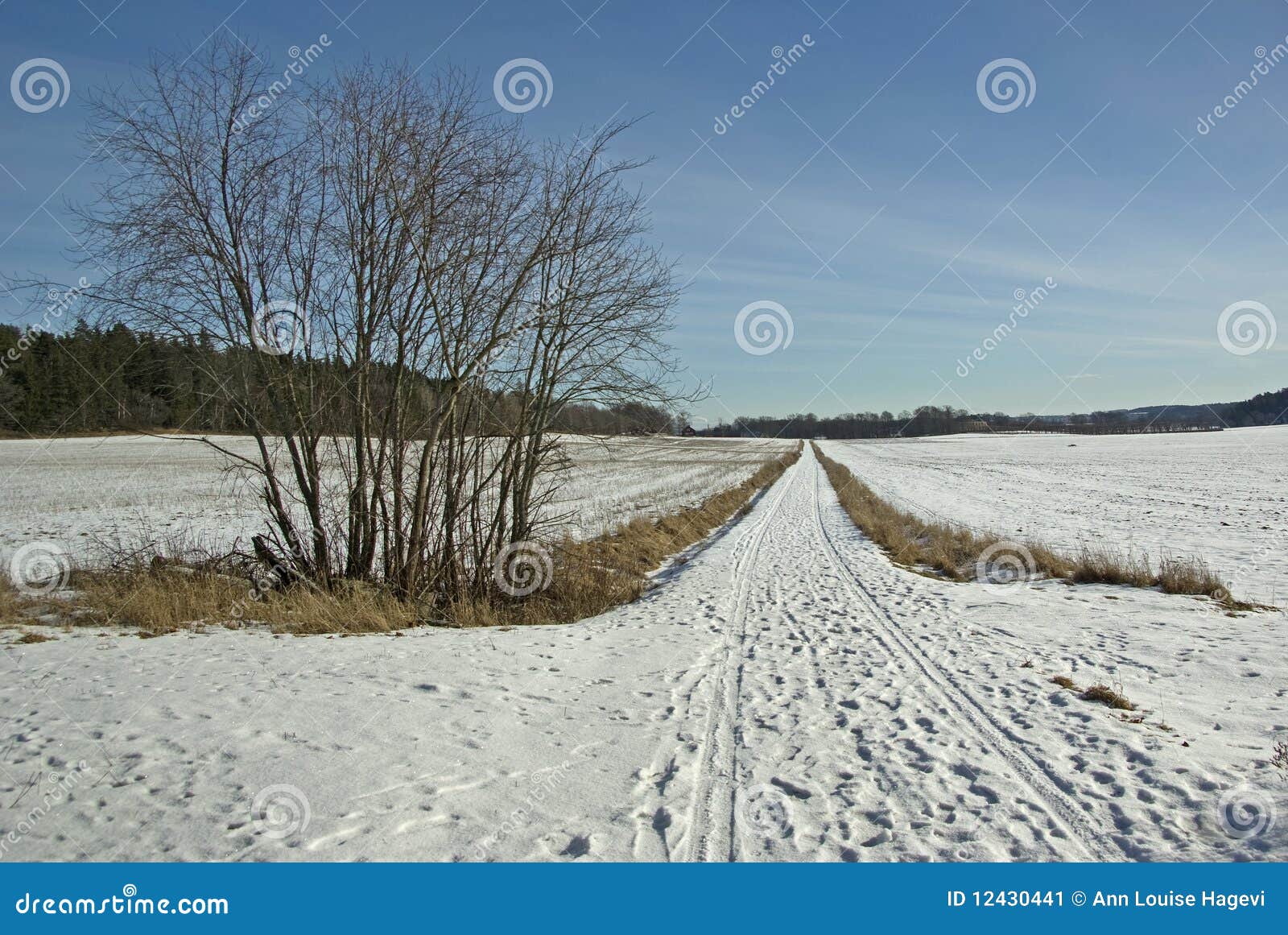 Field with snow stock image. Image of landscape, winter - 12430441
