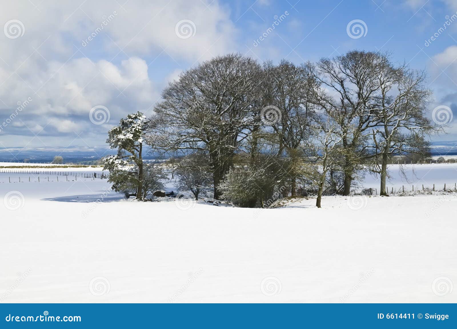Field of snow, horizontal. stock image. Image of flurry - 6614411