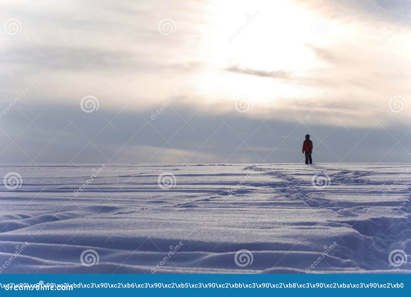 Field of snow stock photo. Image of merges, shore, sunlight - 203561396