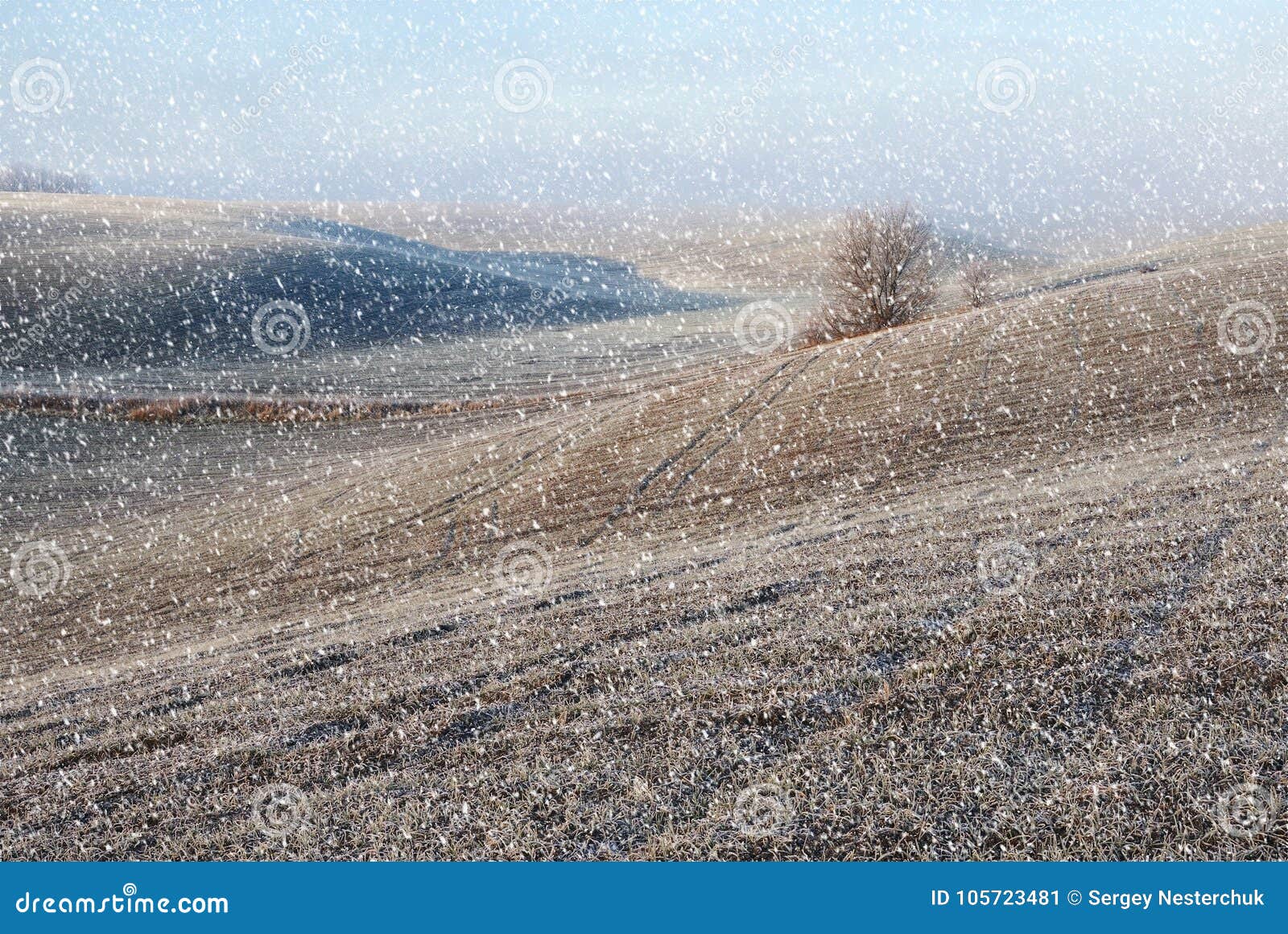 Field. Snowfall on a Hilly Field Stock Image - Image of shiny, ukraine ...