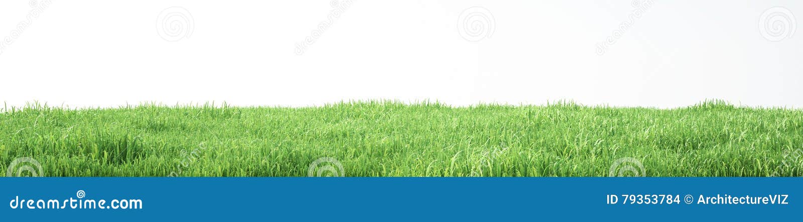 Field of Soft Grass, Perspective View with Close-up Stock Photo - Image ...