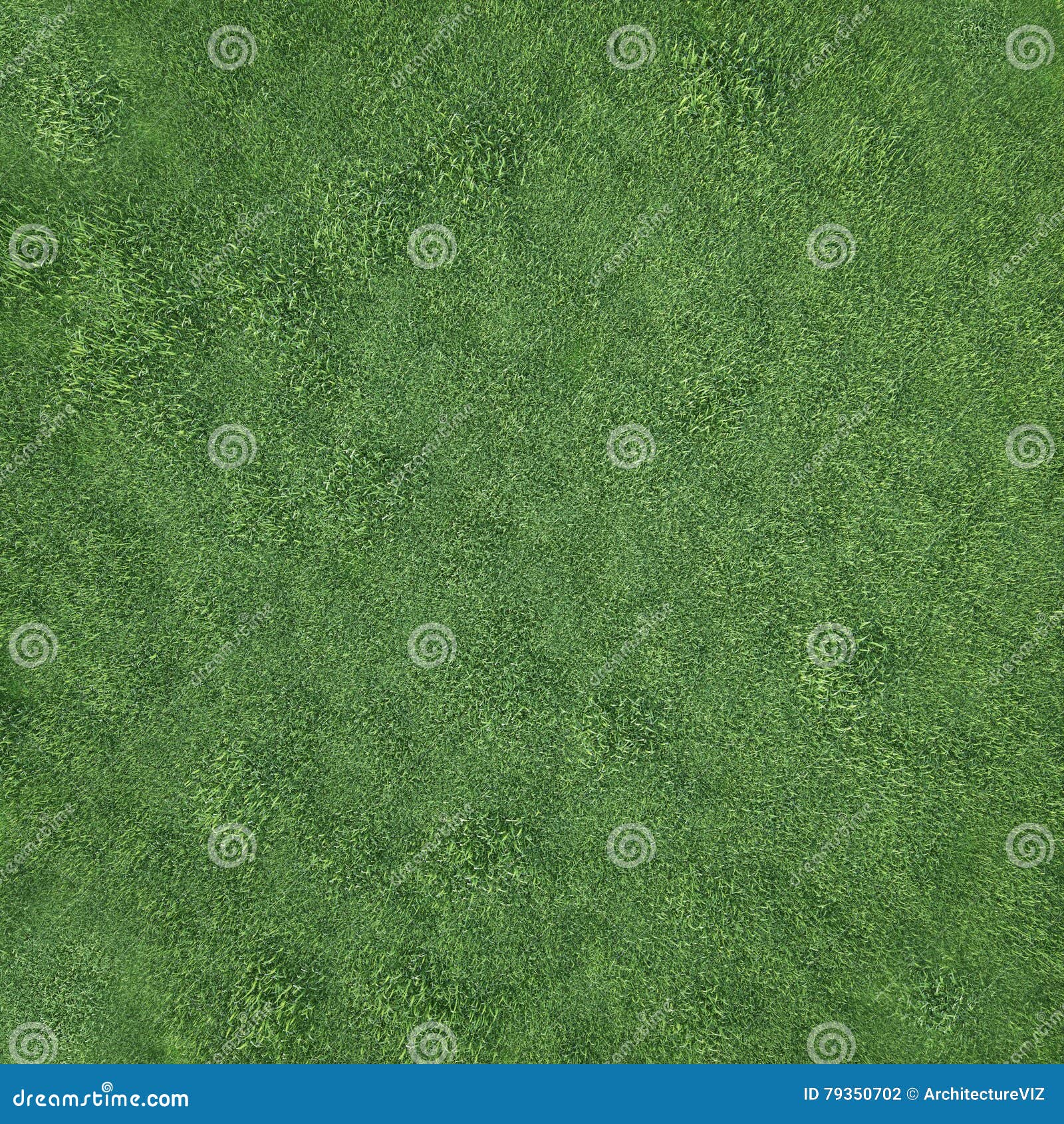 Field of Soft Grass, Top View Stock Illustration - Illustration of ...