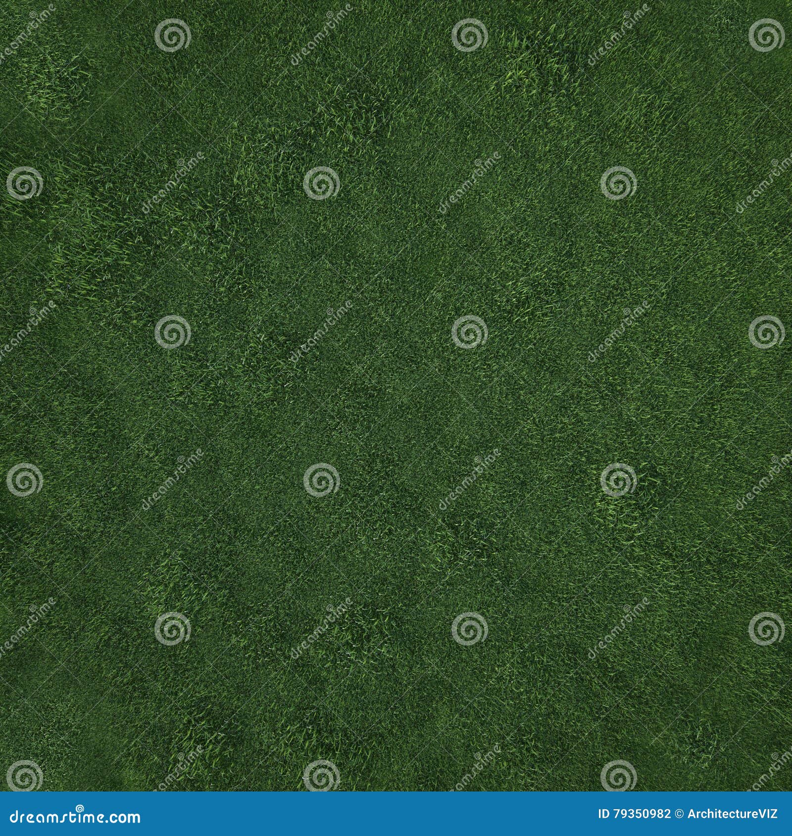 Field of Soft Grass, Top View Stock Illustration - Illustration of ...