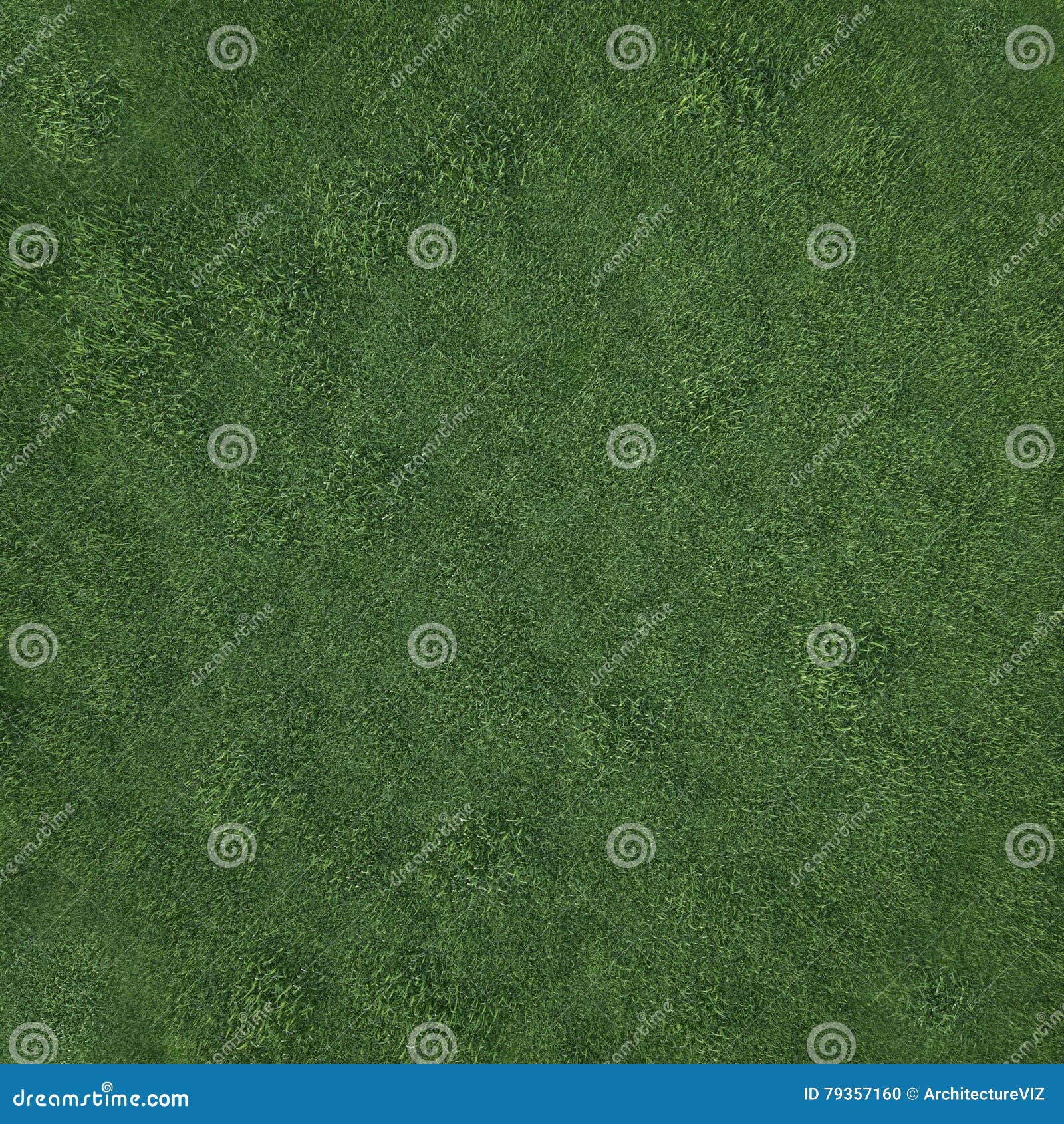 Field of Soft Grass, Top View Stock Illustration - Illustration of ...