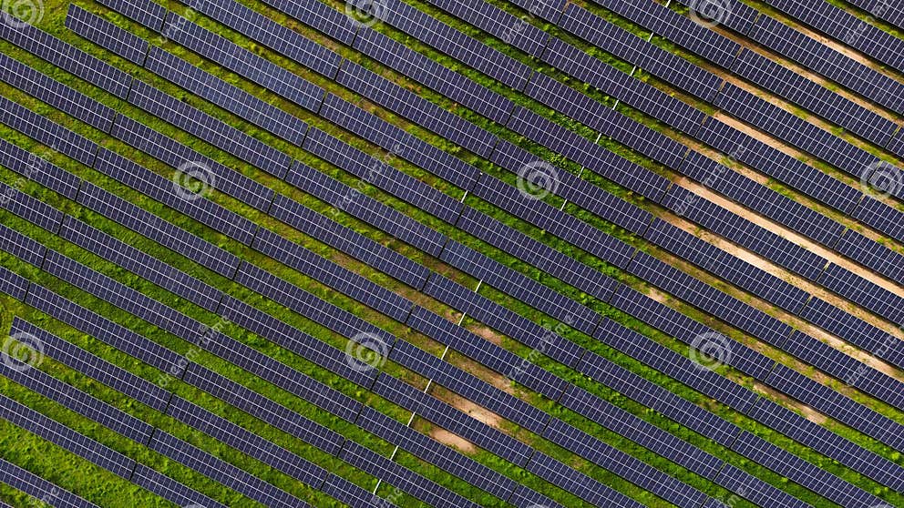 A Field of Solar Panels is Shown in a Green Field. the Panels are ...