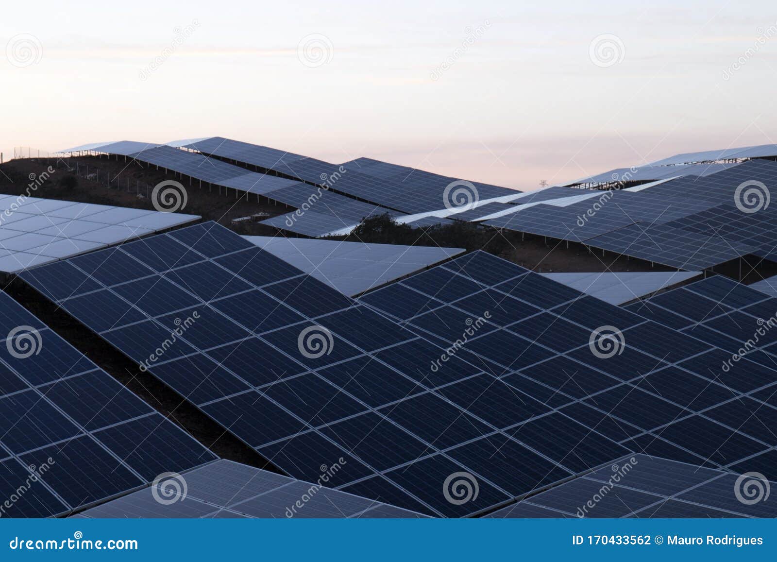 Field of solar panels stock photo. Image of climate - 170433562