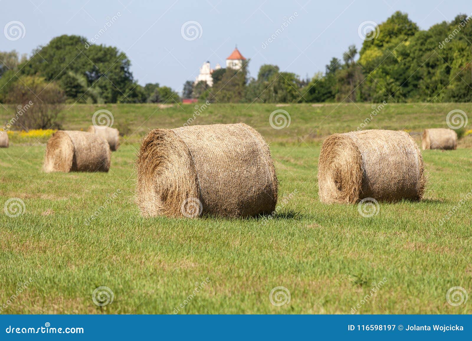 Field with Some Bundles of Hay in the Summer, Harvest Stock Image ...