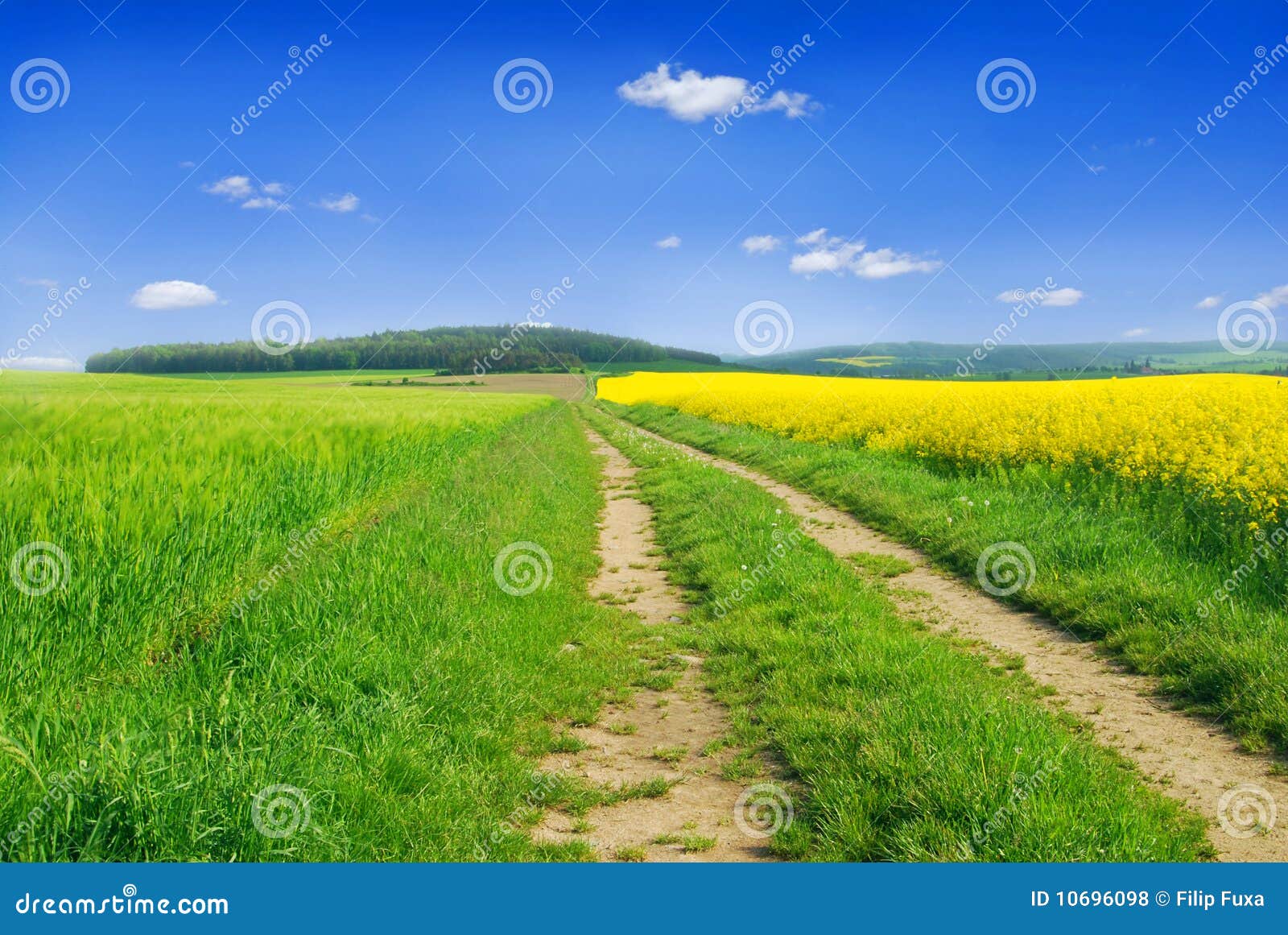 Field in the spring stock photo. Image of scene, hills - 10696098