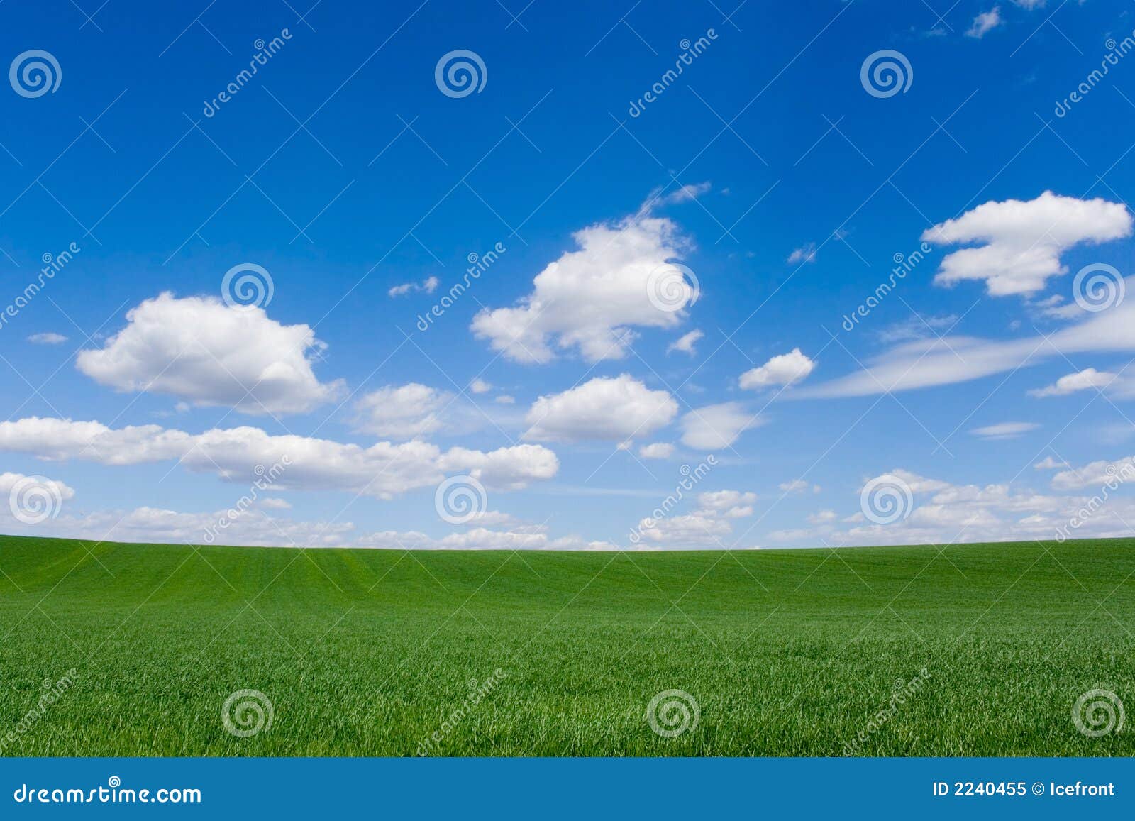 Field at spring stock image. Image of field, landscape - 2240455