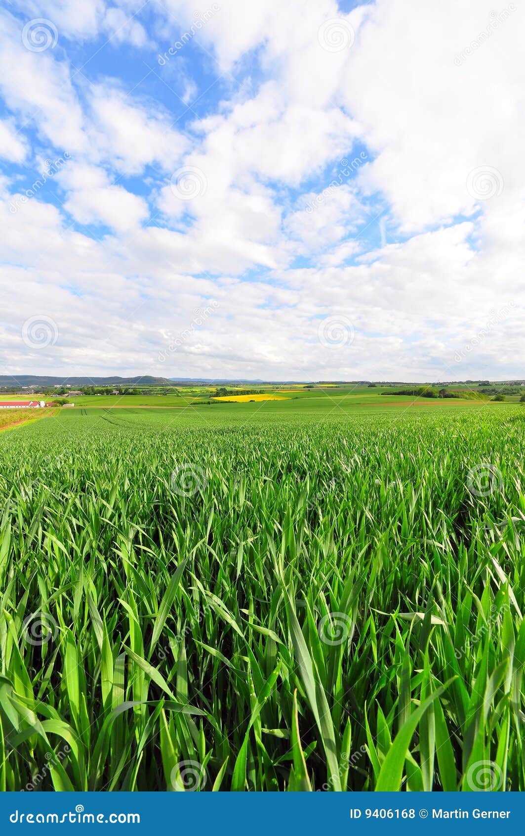 Field in Spring stock photo. Image of agriculture, baden - 9406168