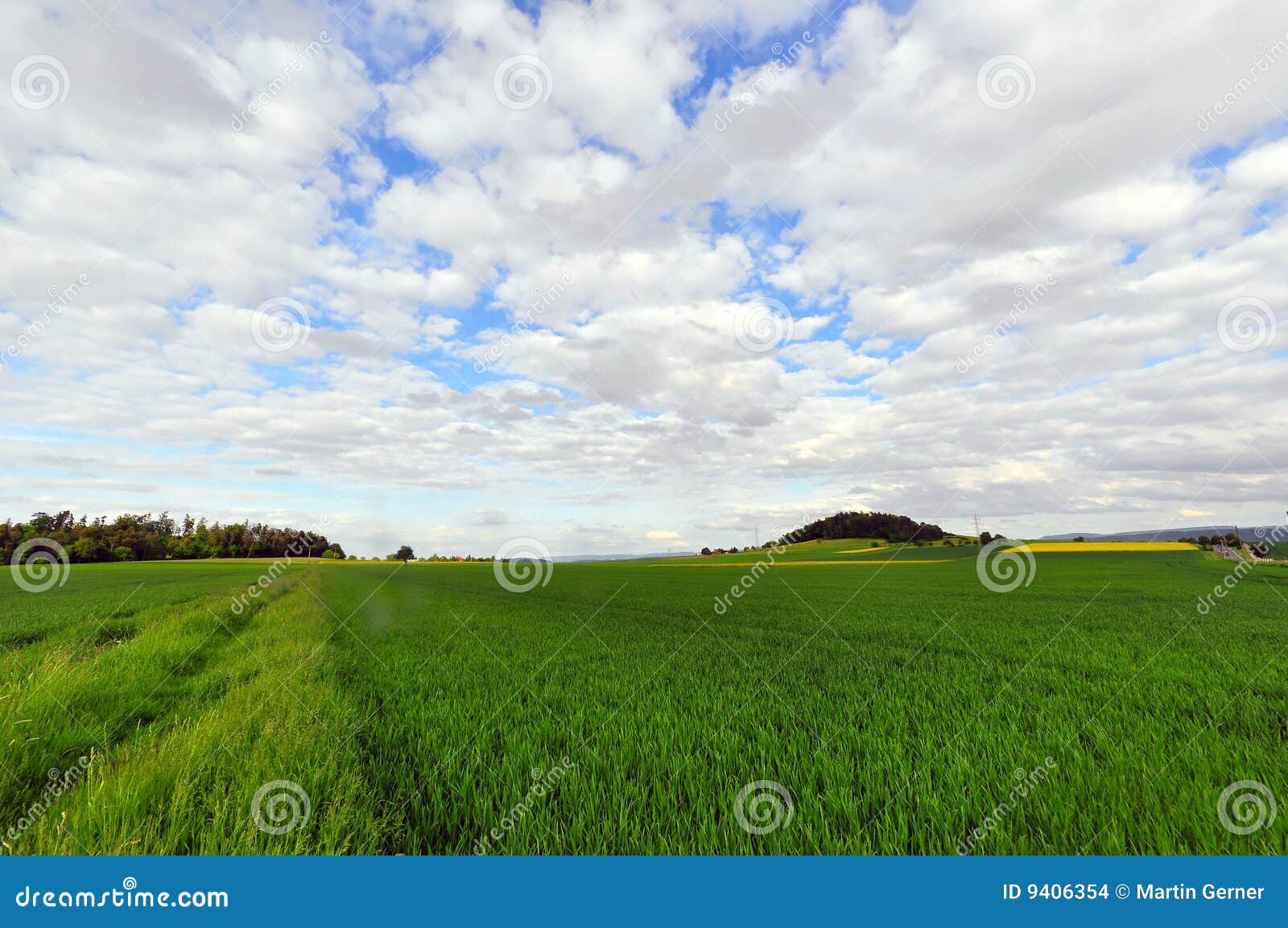 Field in Spring stock photo. Image of growth, nature, wuerttemberg ...