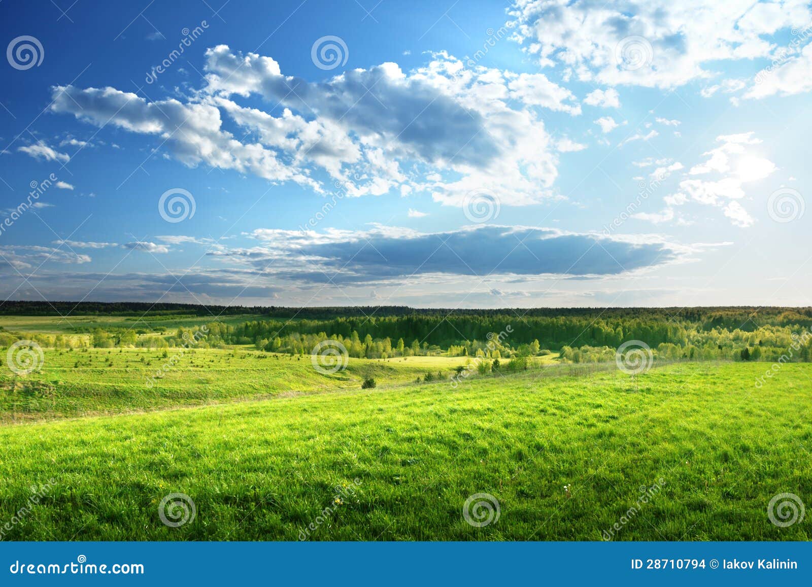 Field of spring grass stock photo. Image of plain, farmland - 28710794