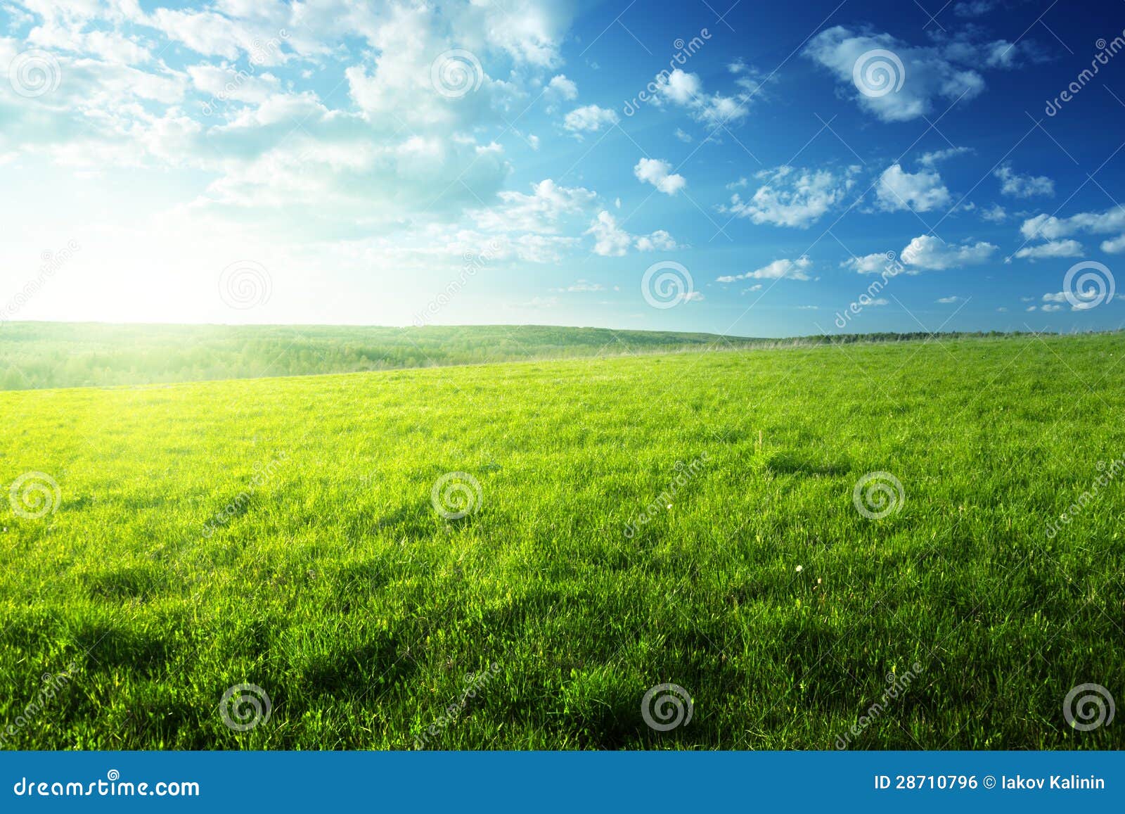 Field of spring grass stock photo. Image of hill, nature - 28710796