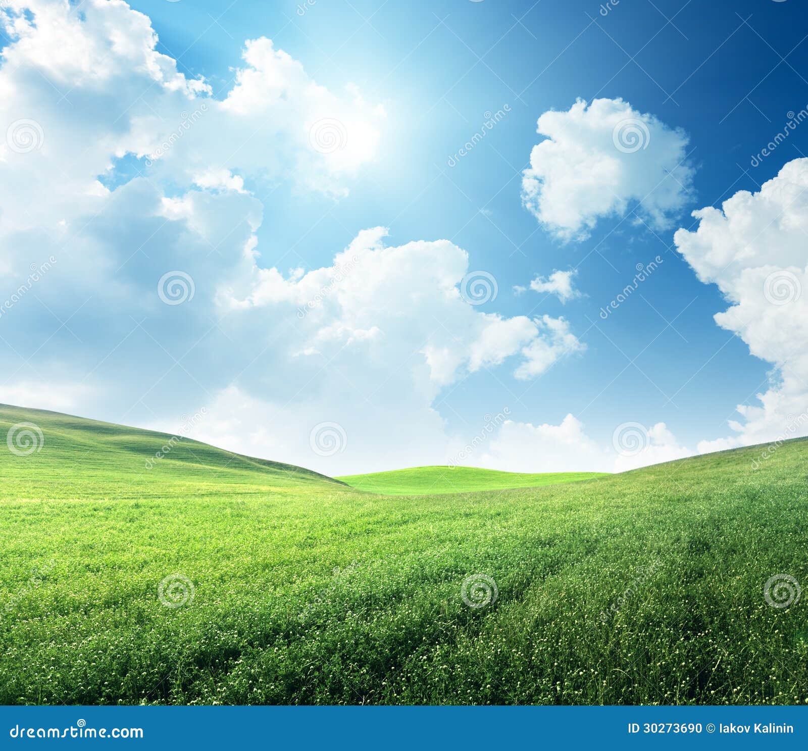 Field of spring grass stock photo. Image of cloudscape - 30273690