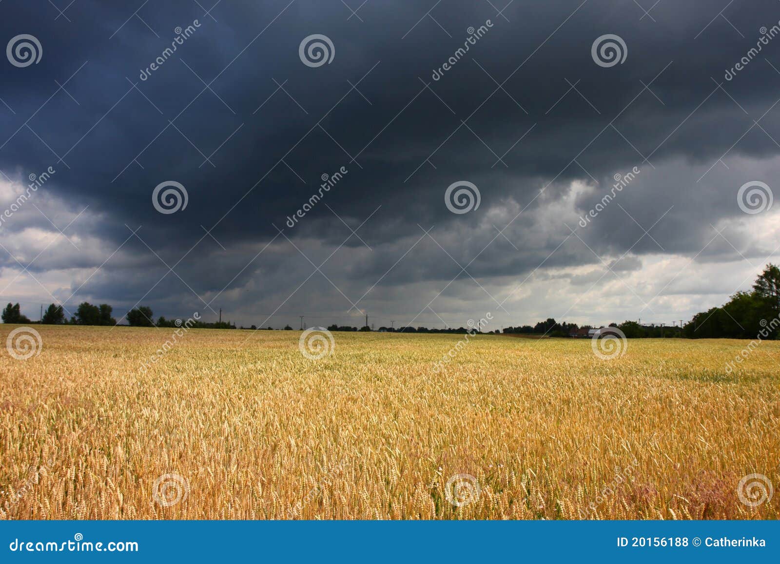 Field before storm stock photo. Image of farming, storm - 20156188