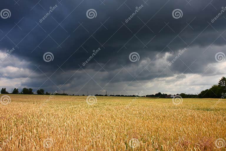 Field before storm stock photo. Image of farming, storm - 20156188
