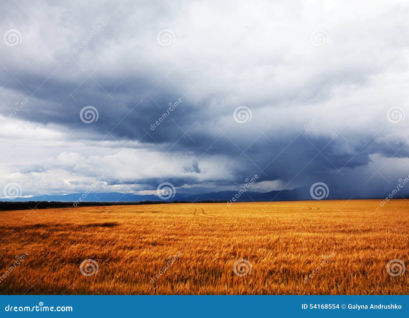 Field in storm stock photo. Image of autumn, storm, grass - 54168554