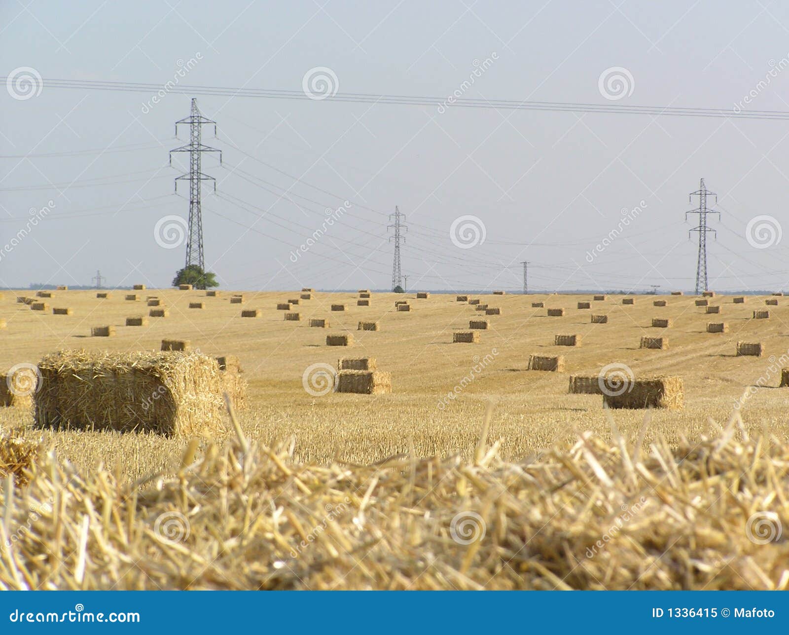 Field of straw stock image. Image of manure, electrical - 1336415