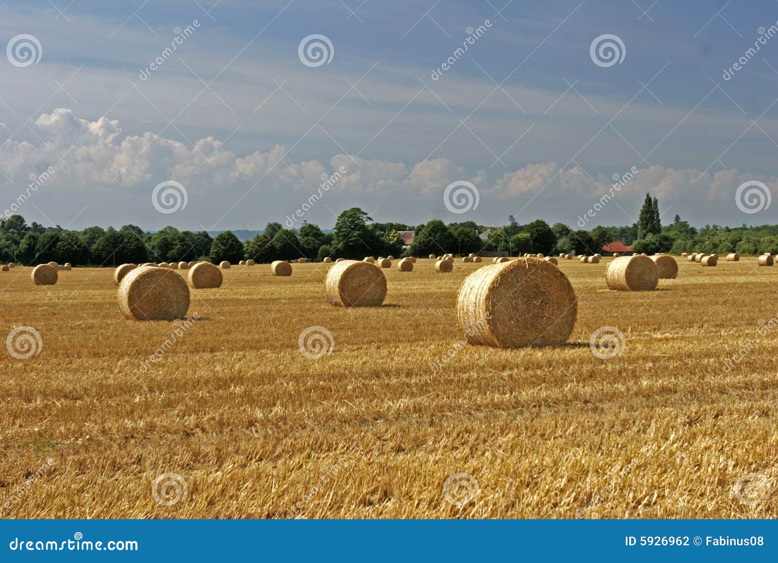 Field of straw stock photo. Image of champ, nature, agriculture - 5926962