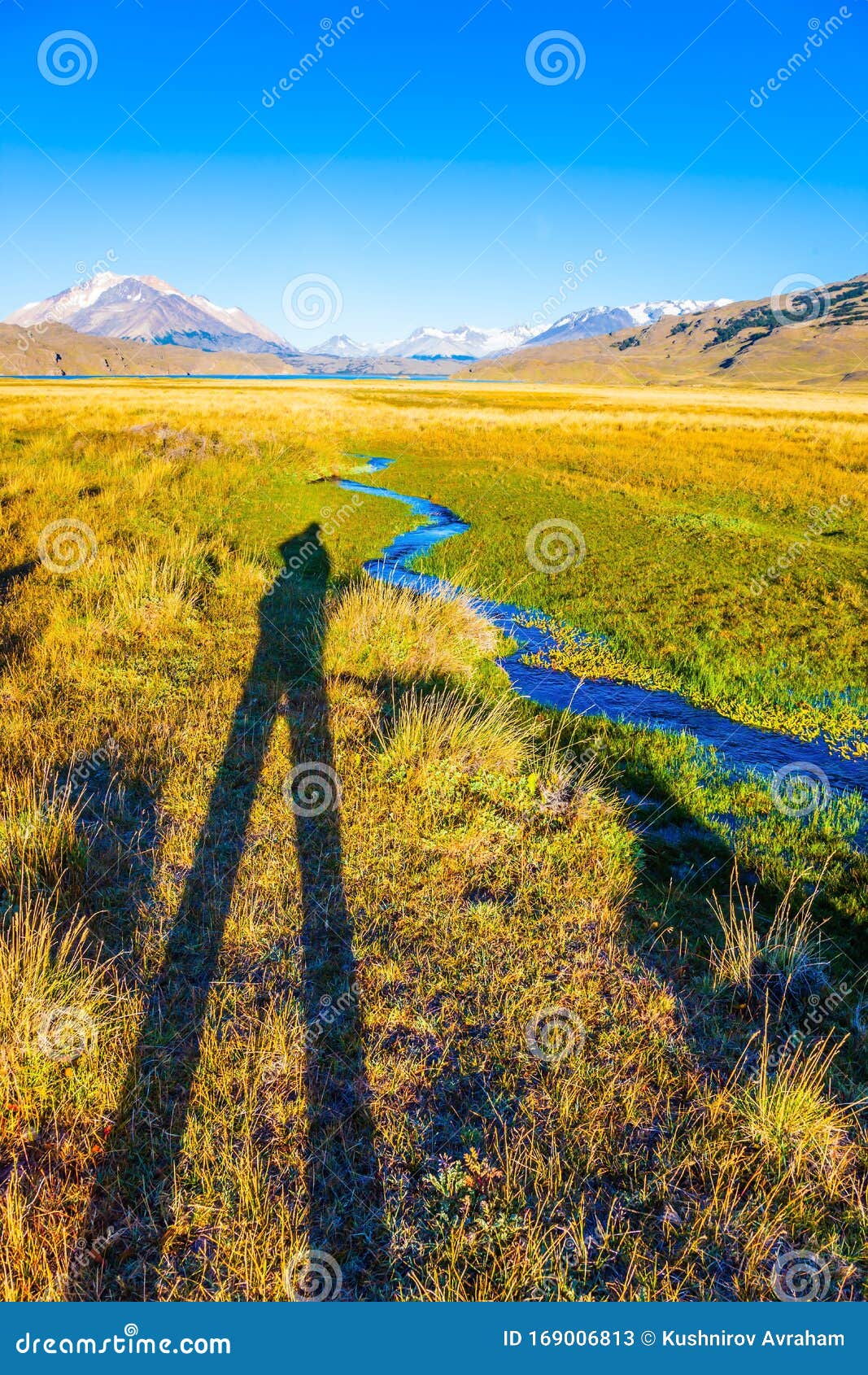 The field with streams stock image. Image of exotic - 169006813