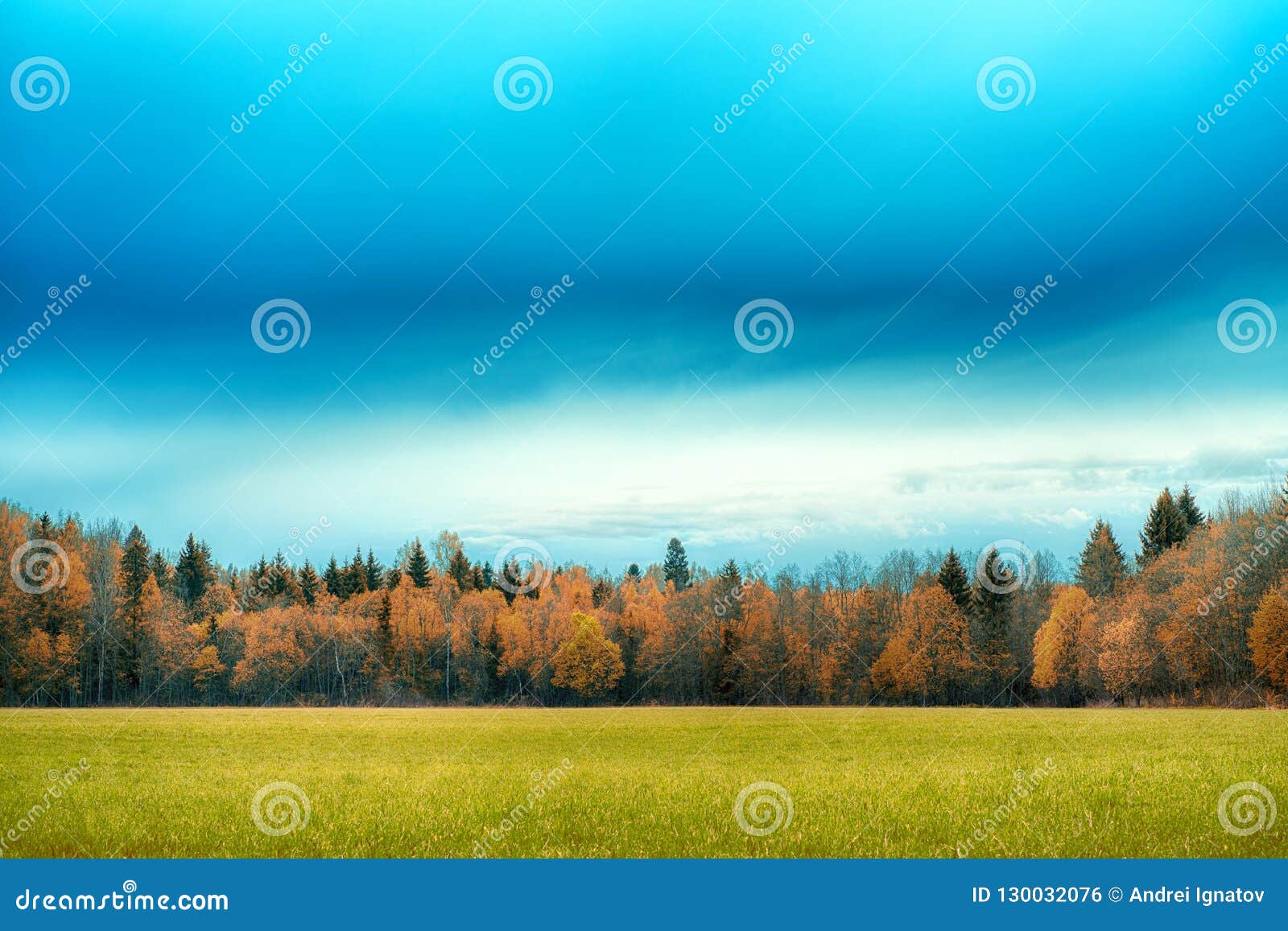 A Field Strewn with Grass and Forest. Autumn Landscape Stock Photo ... A Field Strewn with Grass and Forest. Autumn Landscape Stock Photo ...