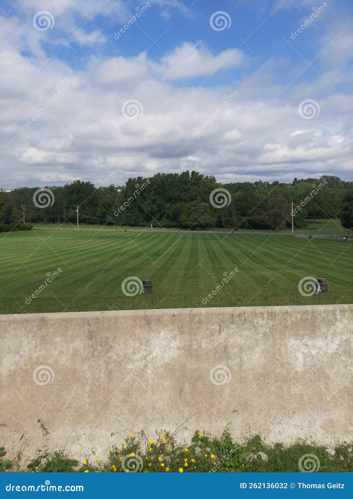 Field of stripes stock photo. Image of grass, wall, leaf - 262136032